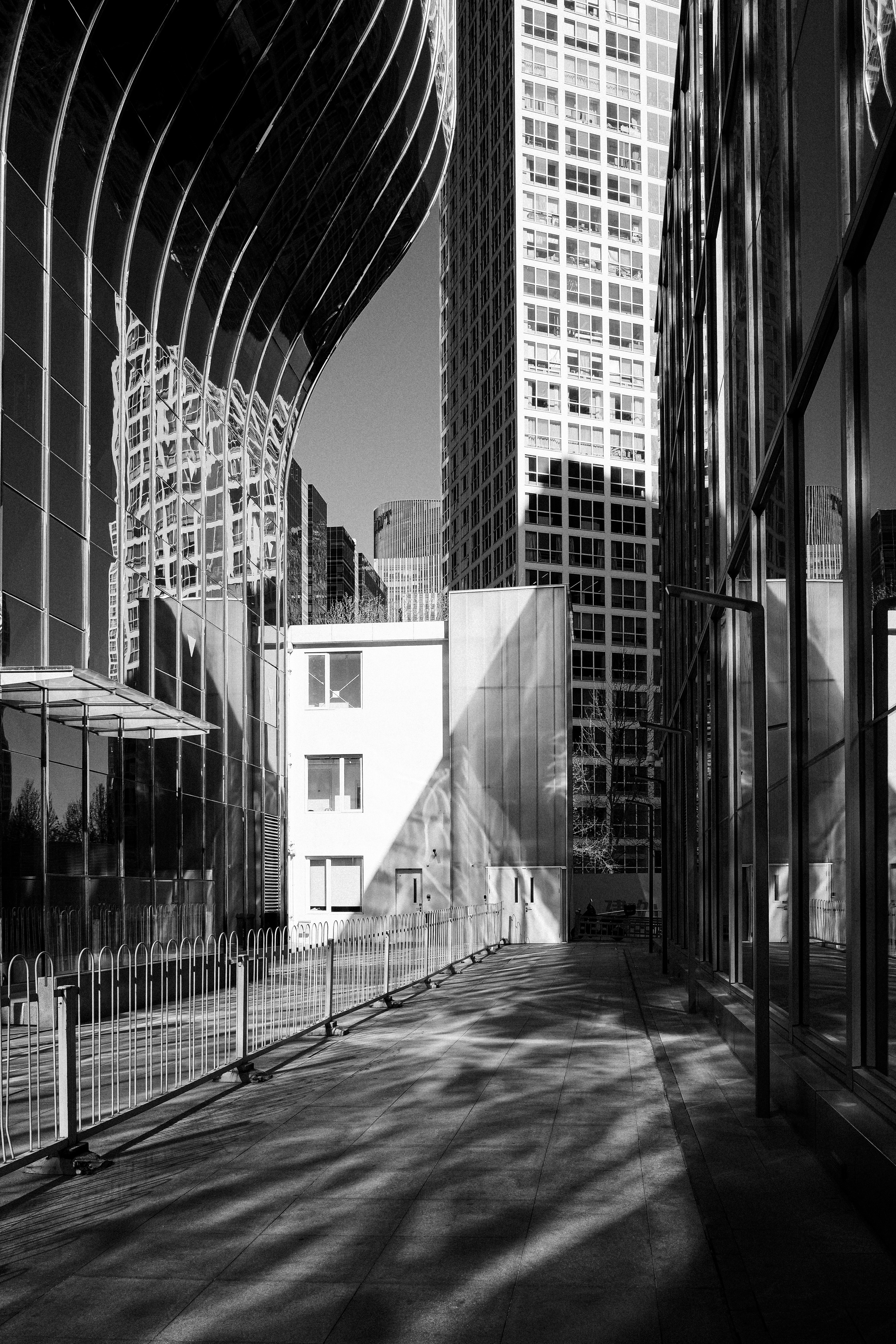 Canyons of Glass: Narrow Passage Between Skyscraper Facades
