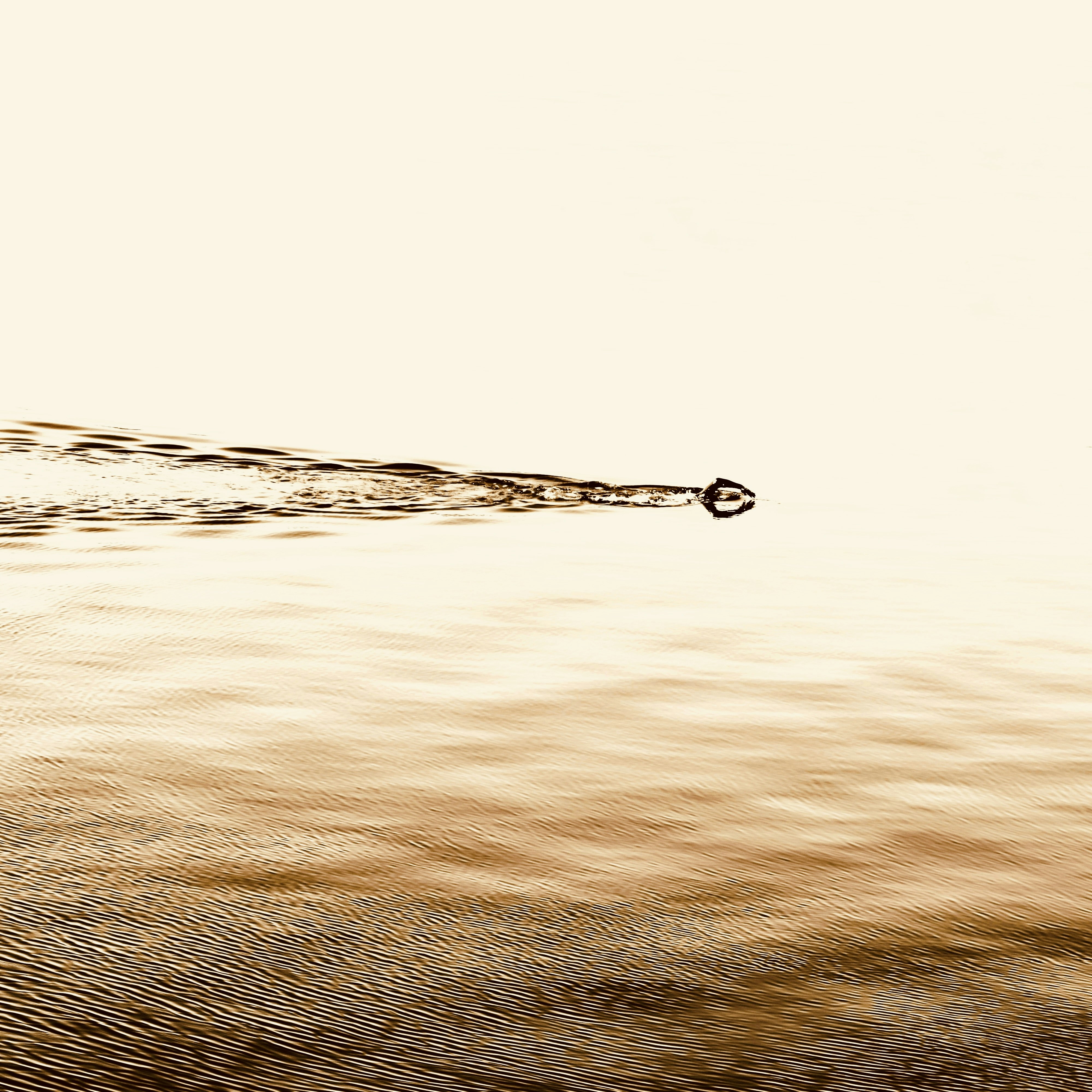 Liquid Echoes: A Golden Ripple Traced by a Single Droplet