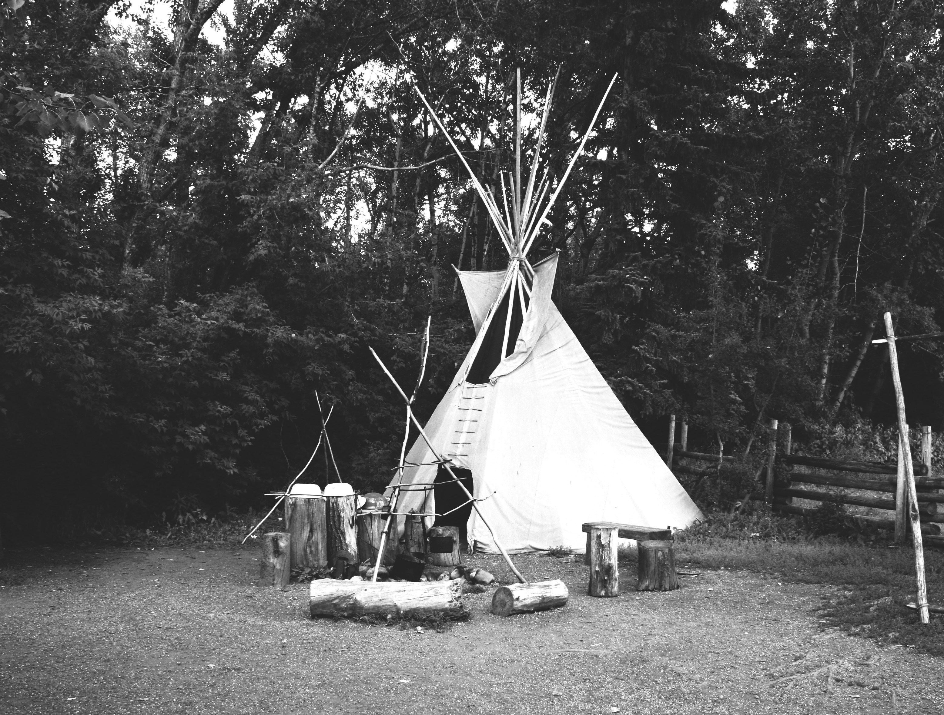 A grayscale camp scene featuring a tipped tepee-like tent surrounded by logs and stumps, centered in a clearing with trees in the background.