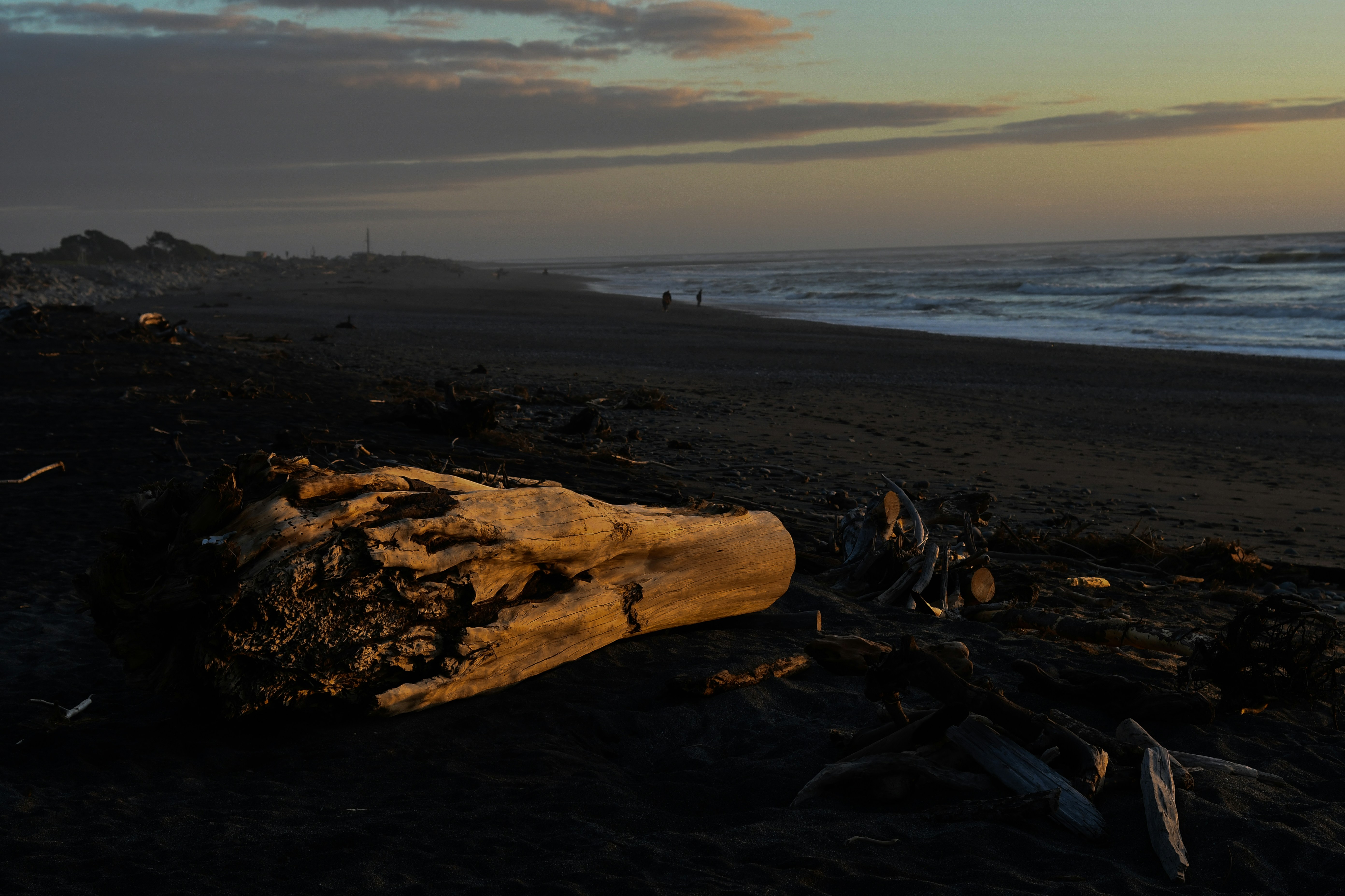 Driftwood at Dusk: A Quiet Shore Under Low Light