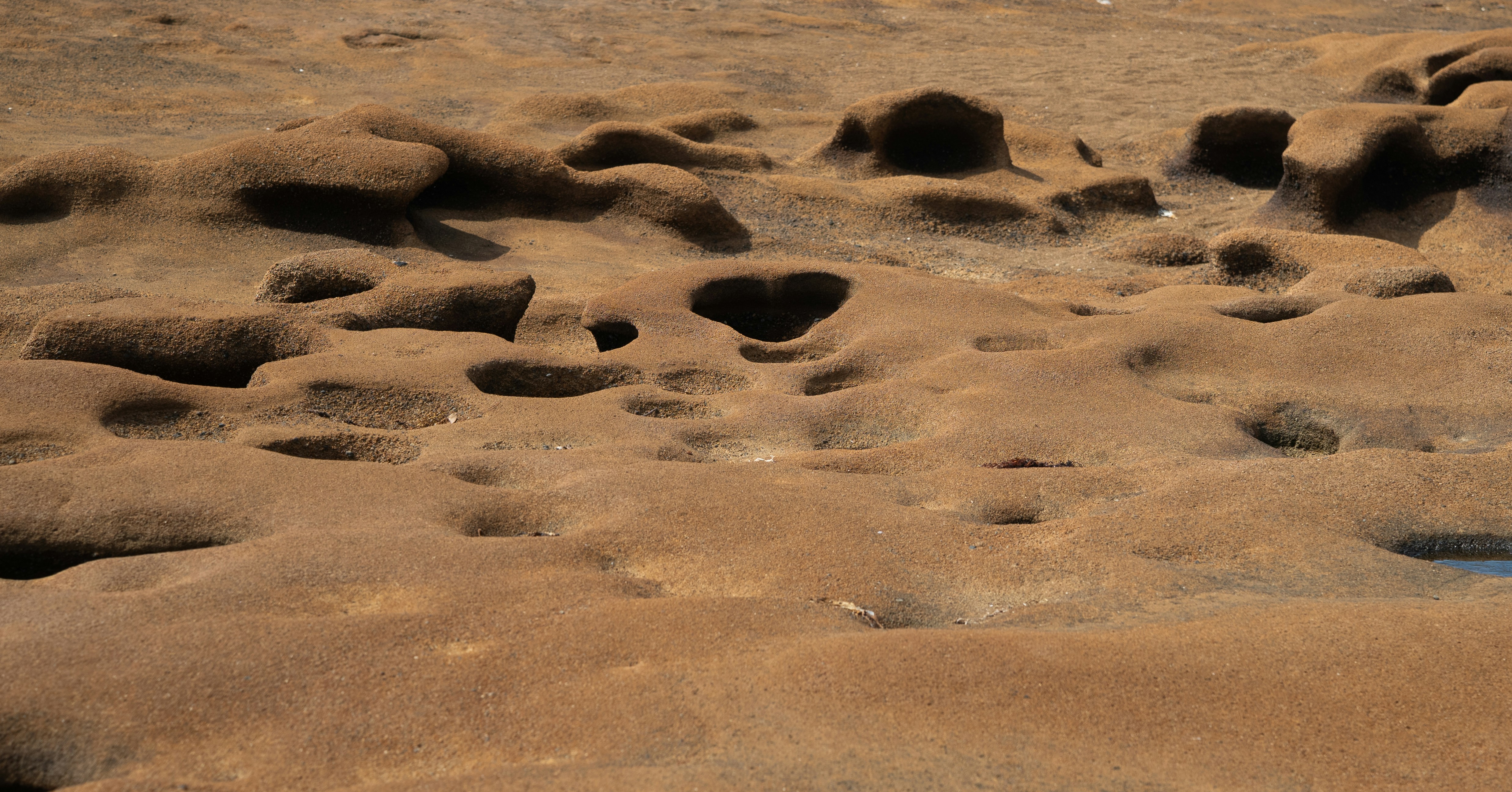 Undulating Desert Pockmarks: A Close Camber of Wind-Sculpted Sand