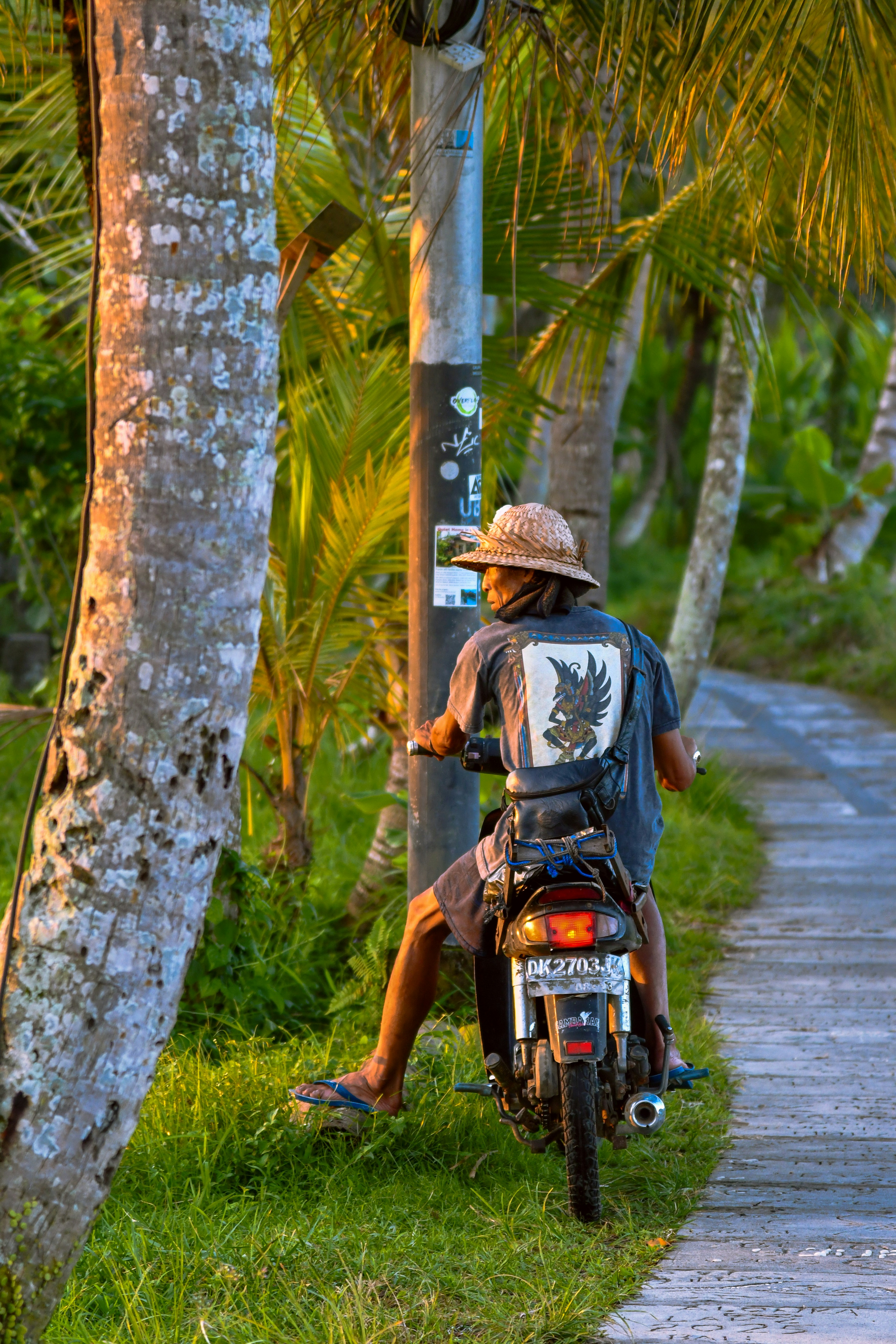 Rider at Dusk: A Quiet Path Through Palms