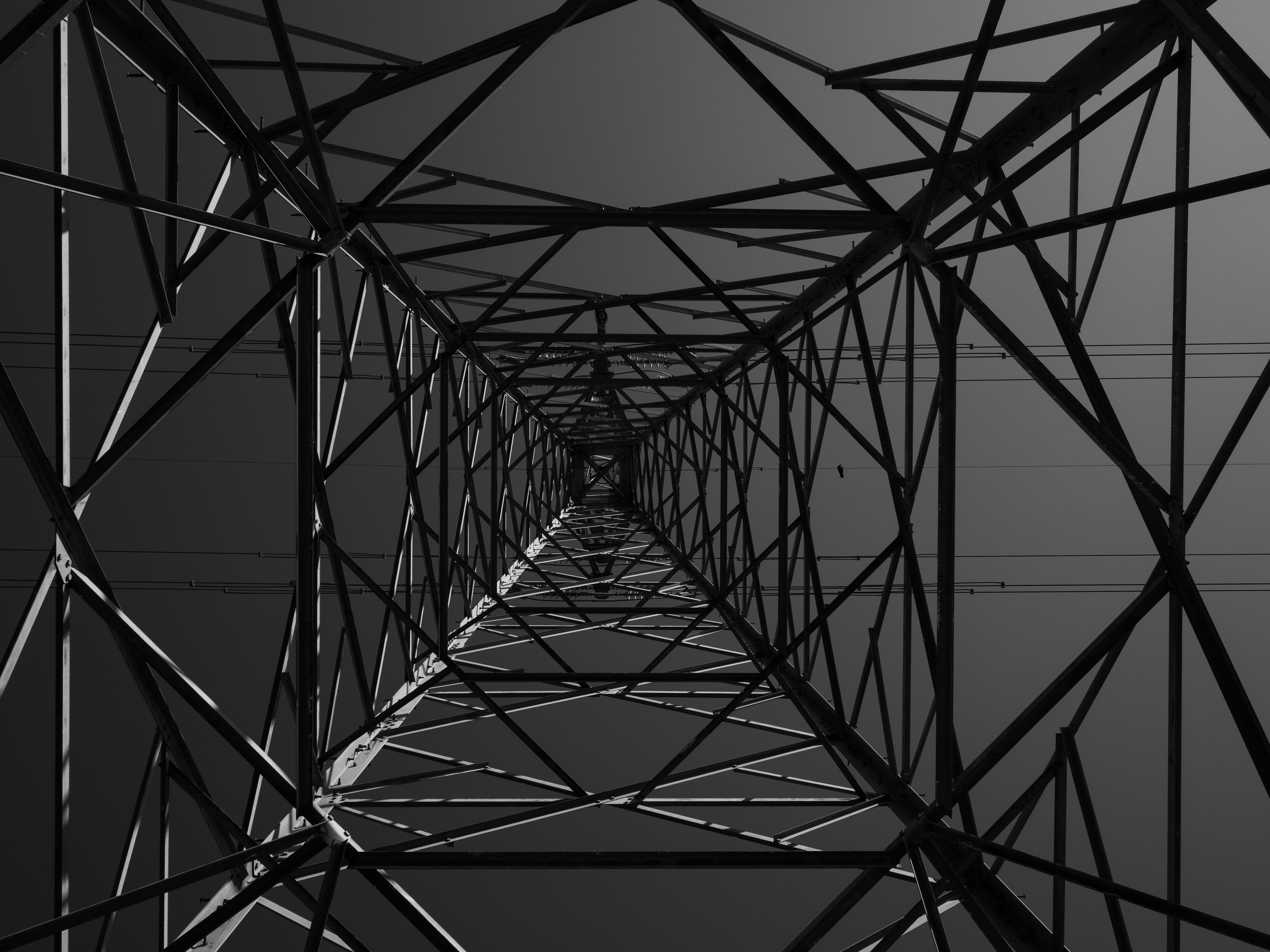 Tangled Geometry: A Descent Through the Structural Heart