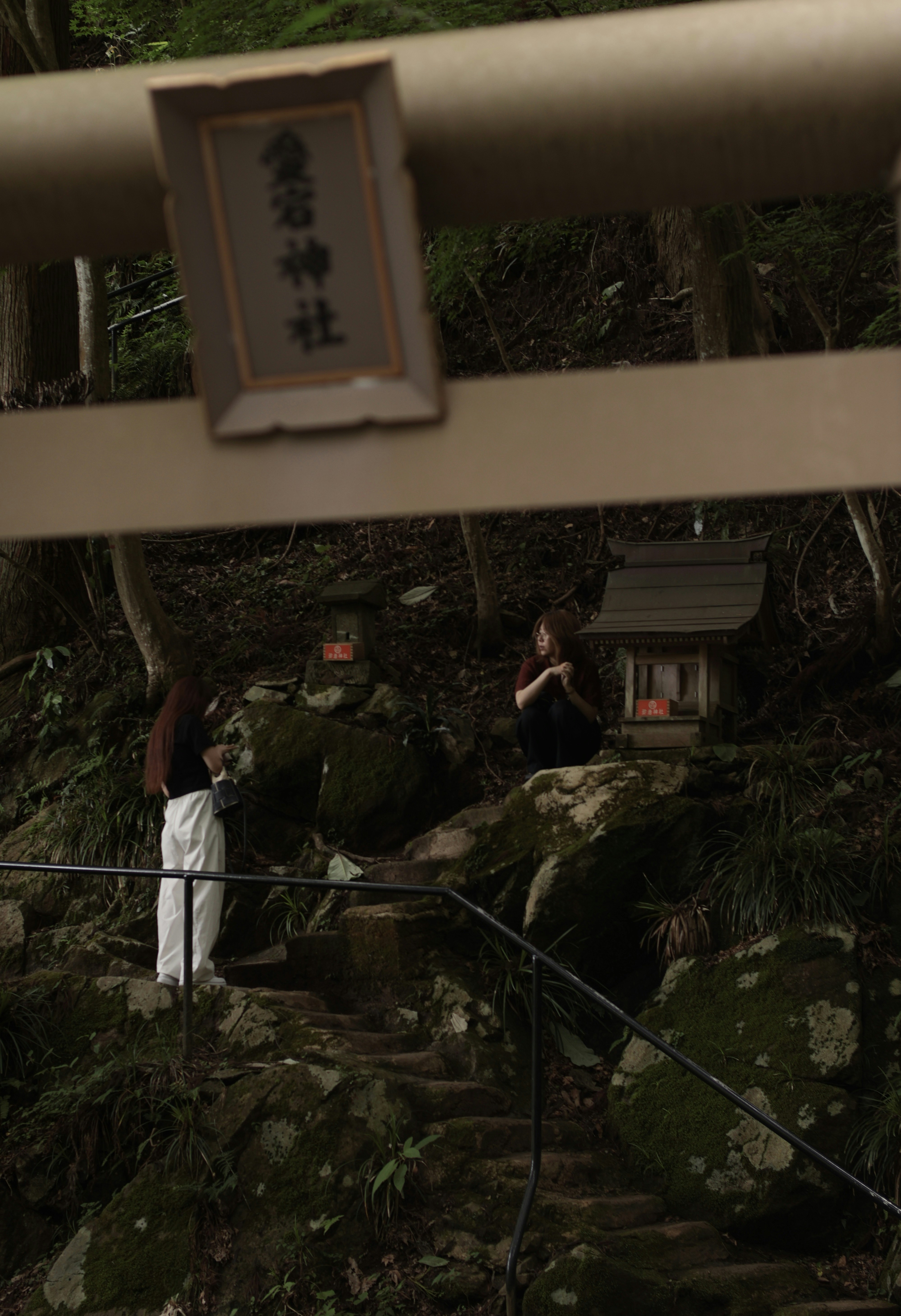 Shaded Shrine Visitants beneath the Torii