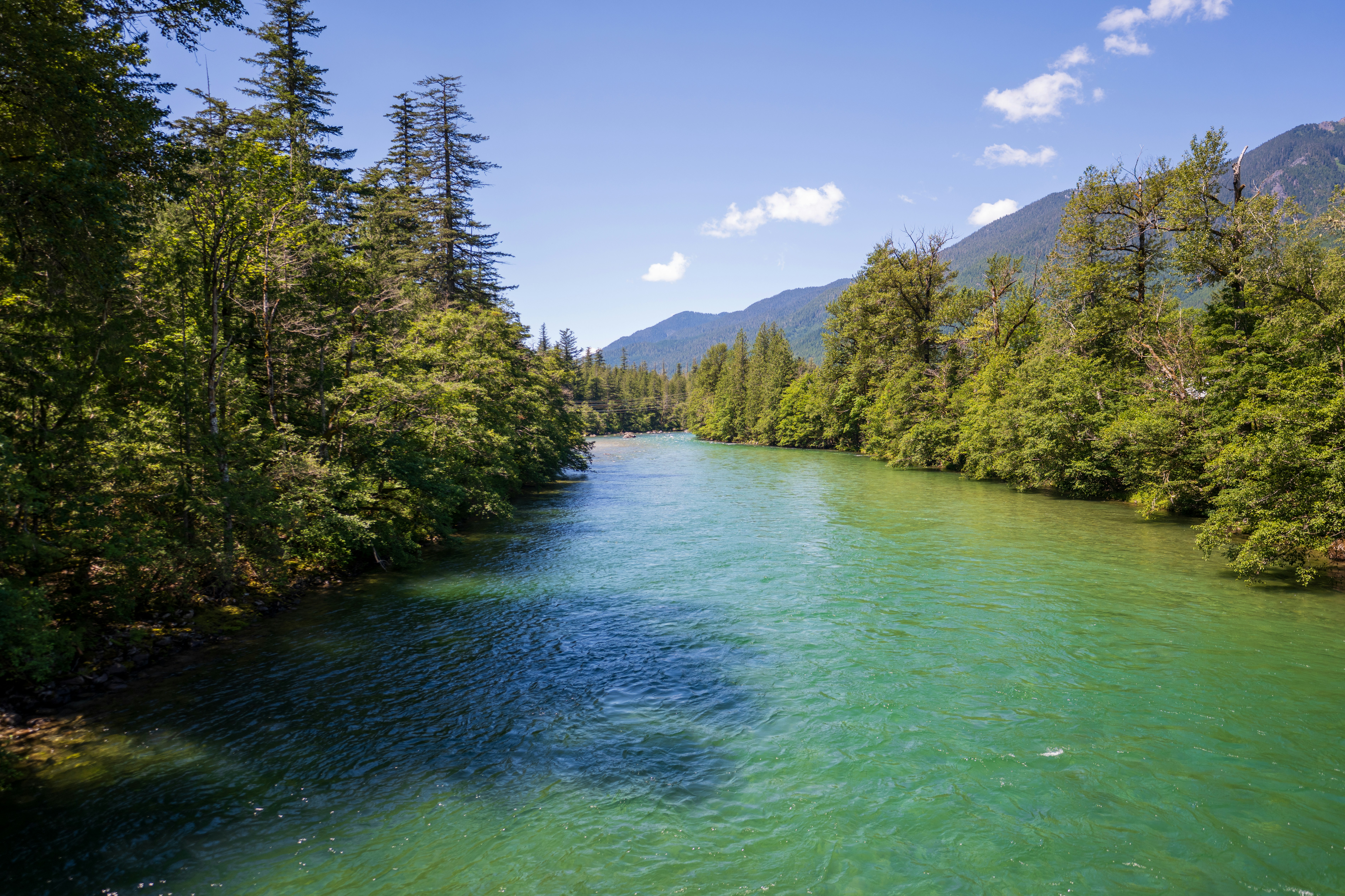 Emerald River Arc: A Mountain Channel Framed by Pines