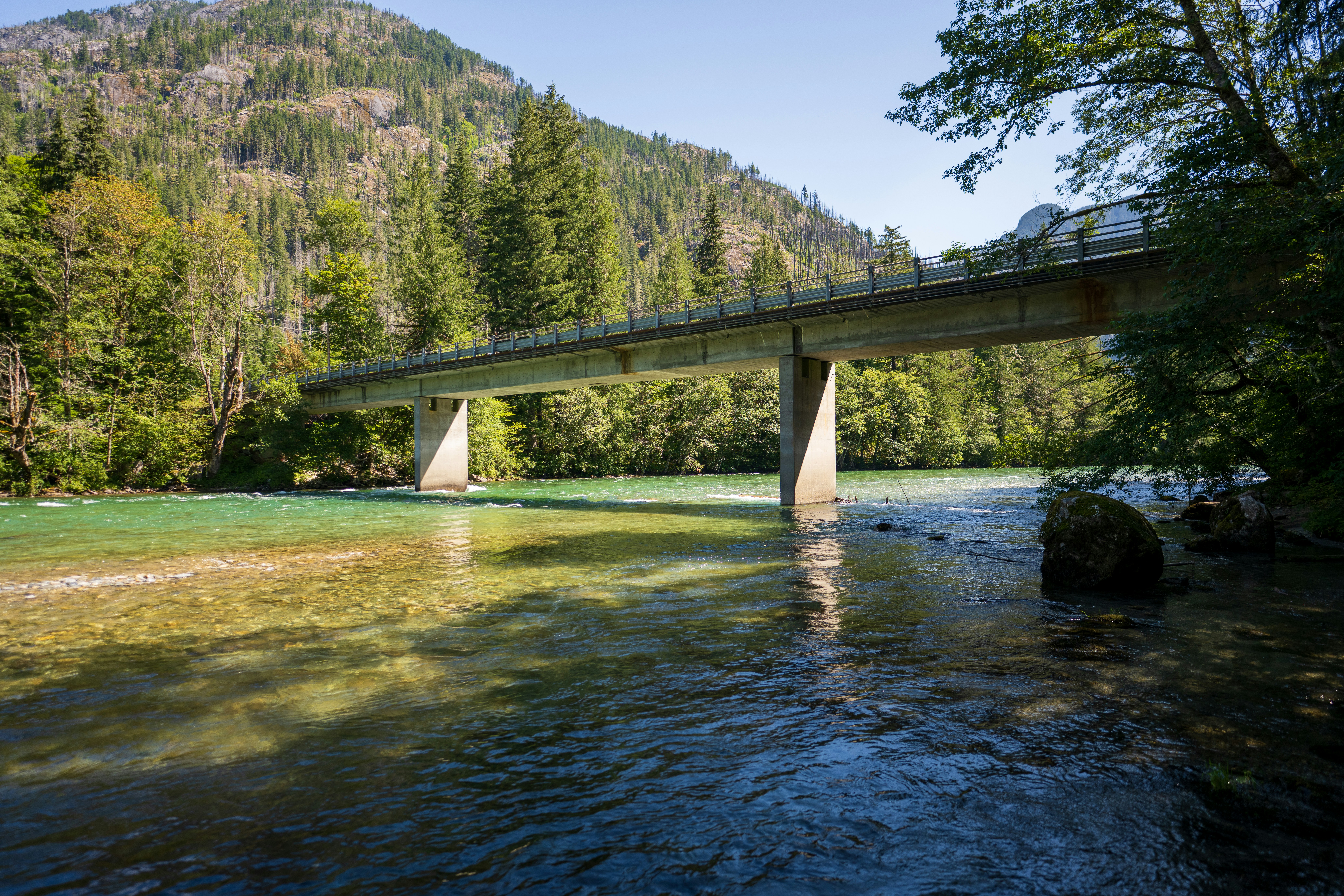 River Bridge Amid Pines: Light on the Water