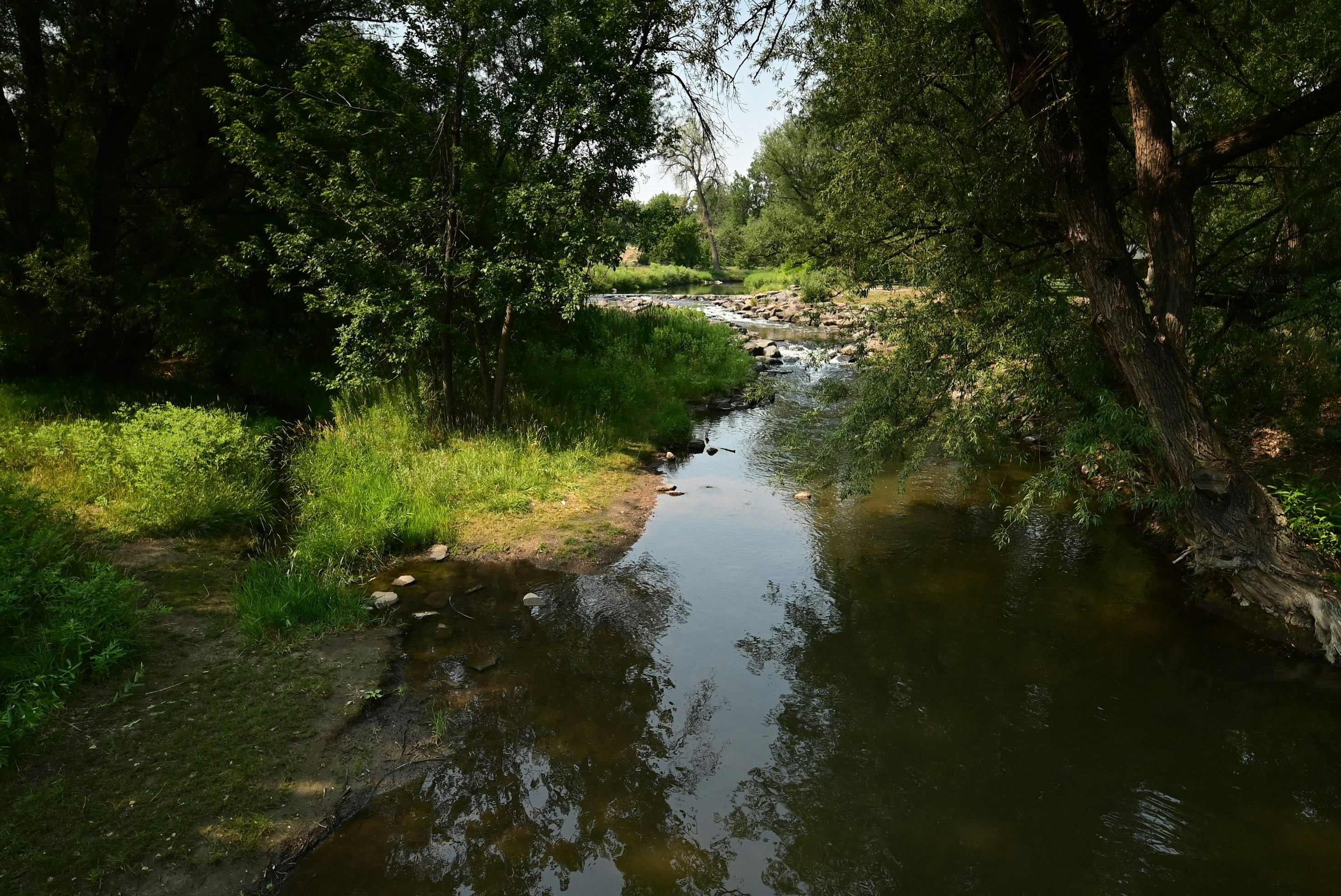 Riverbend Canopy: Dappled Light Through a Quiet Stream