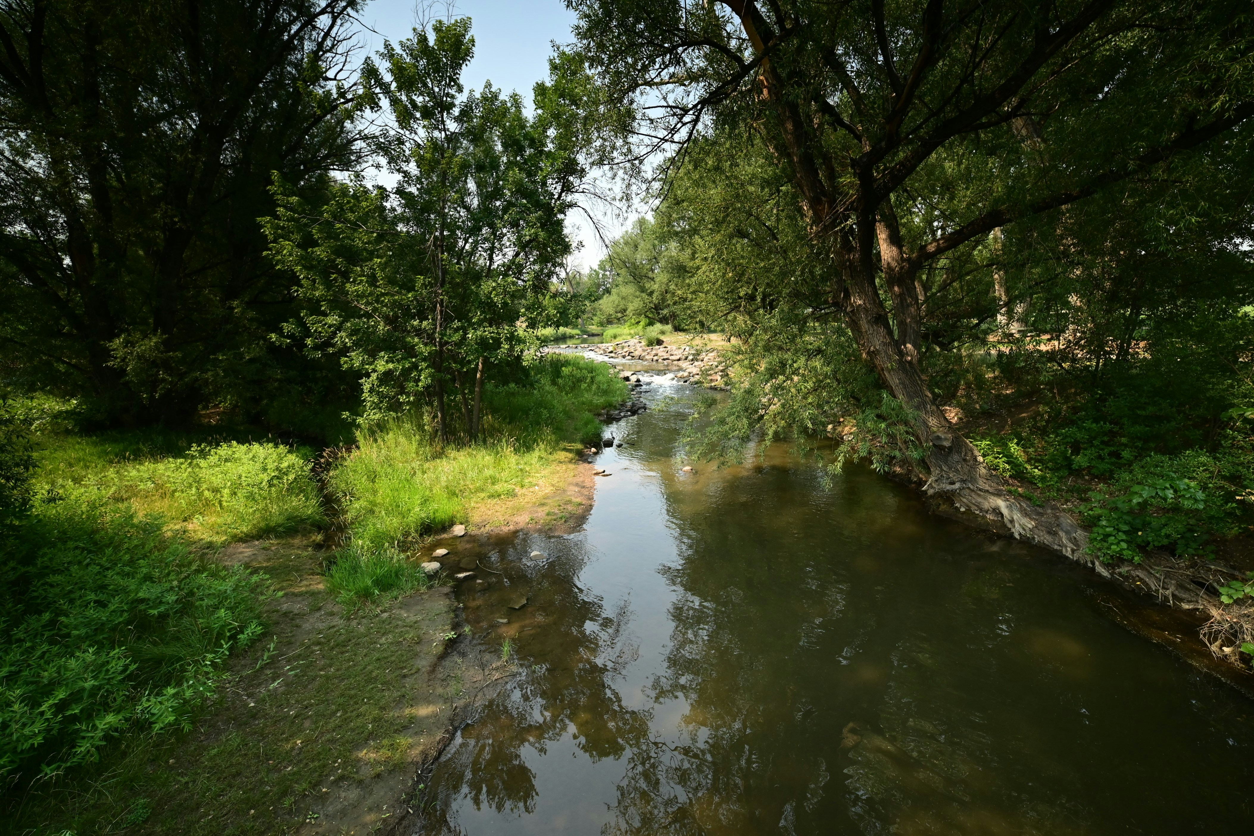 Sunlit River Channel Through a Lush Green Corridor