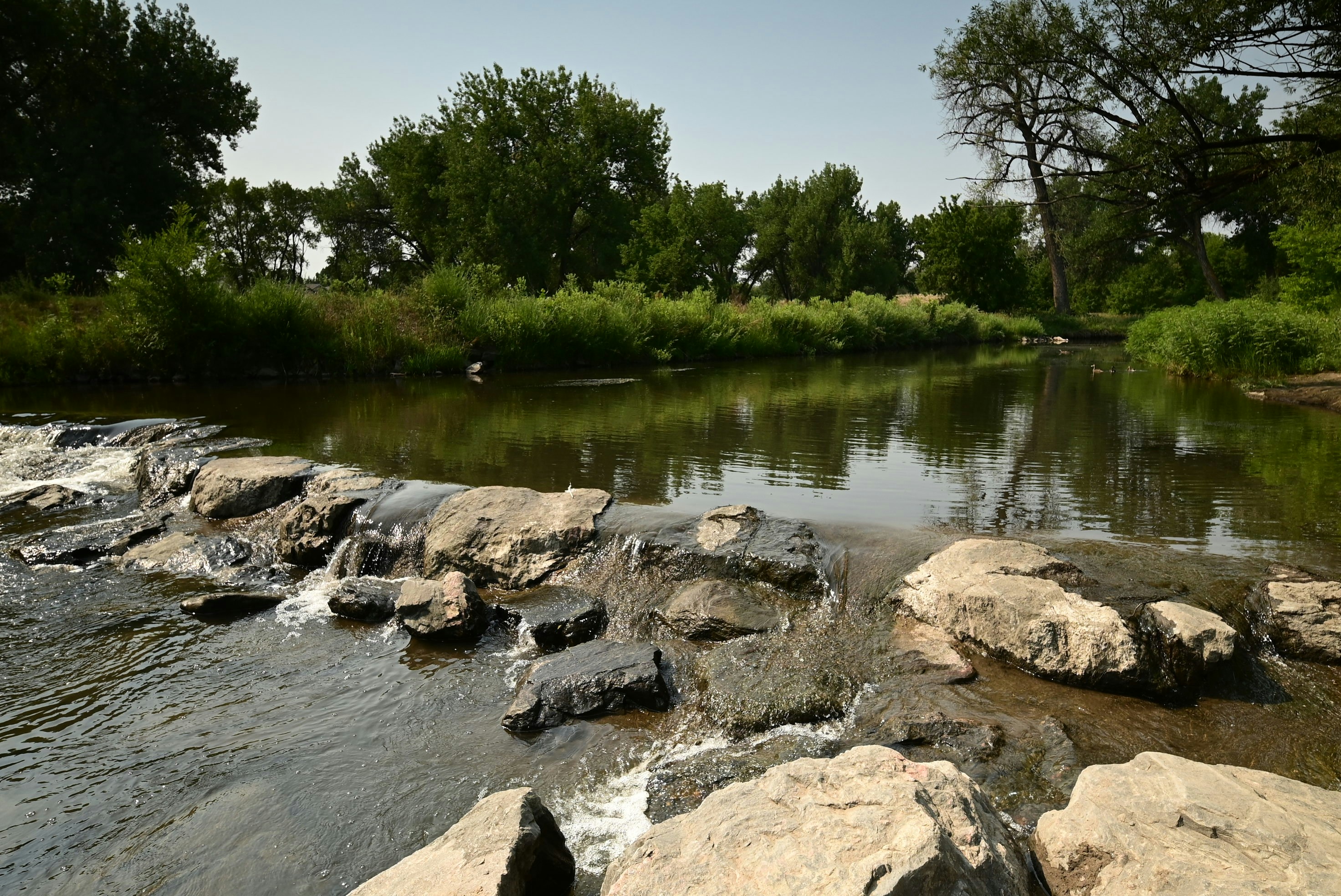 Rocks, River, and Greenery: A Quiet Streamside Moment