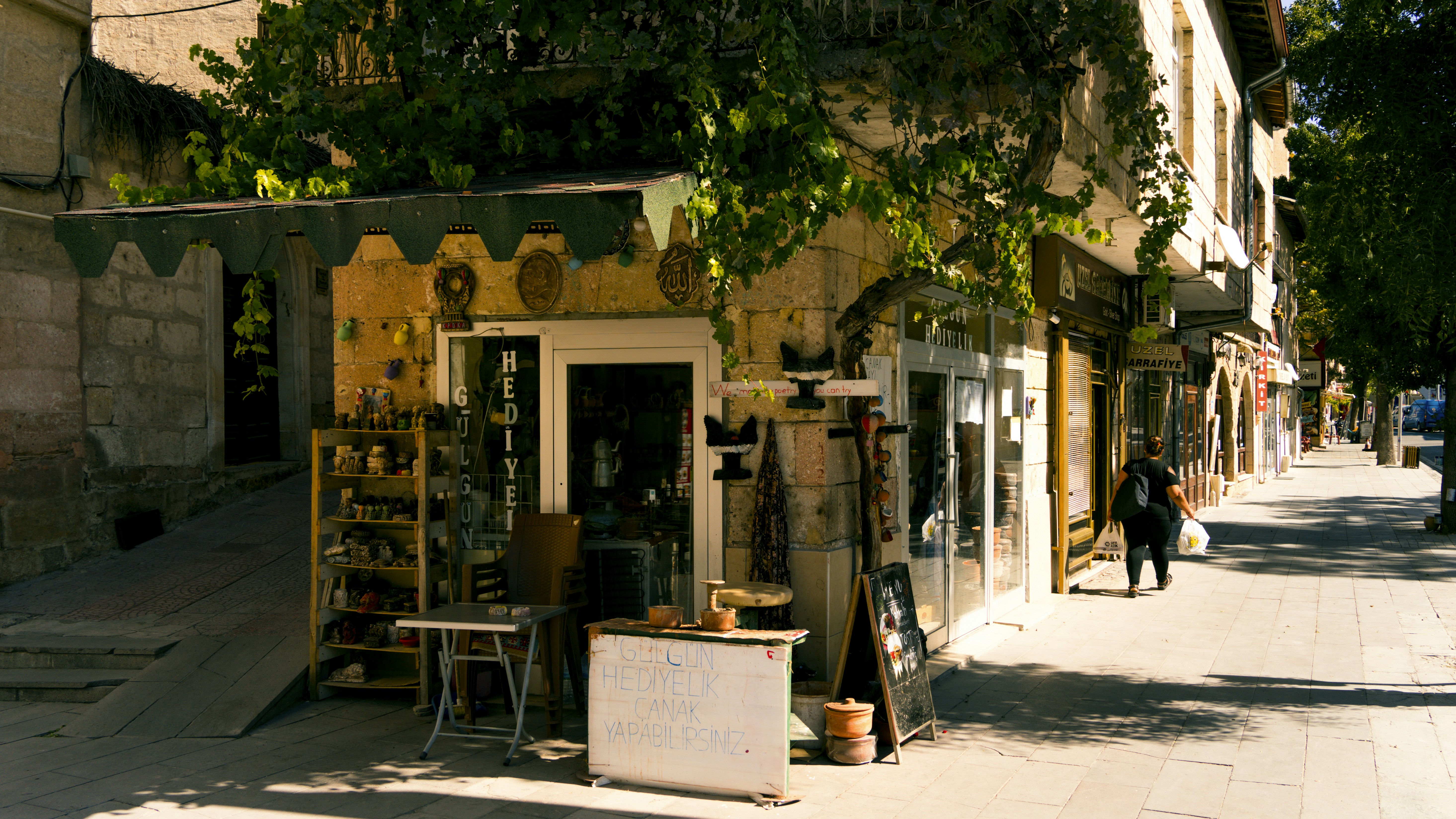 Sunlit Lane: A Quiet Shopfront Tucked Under Green Canopies