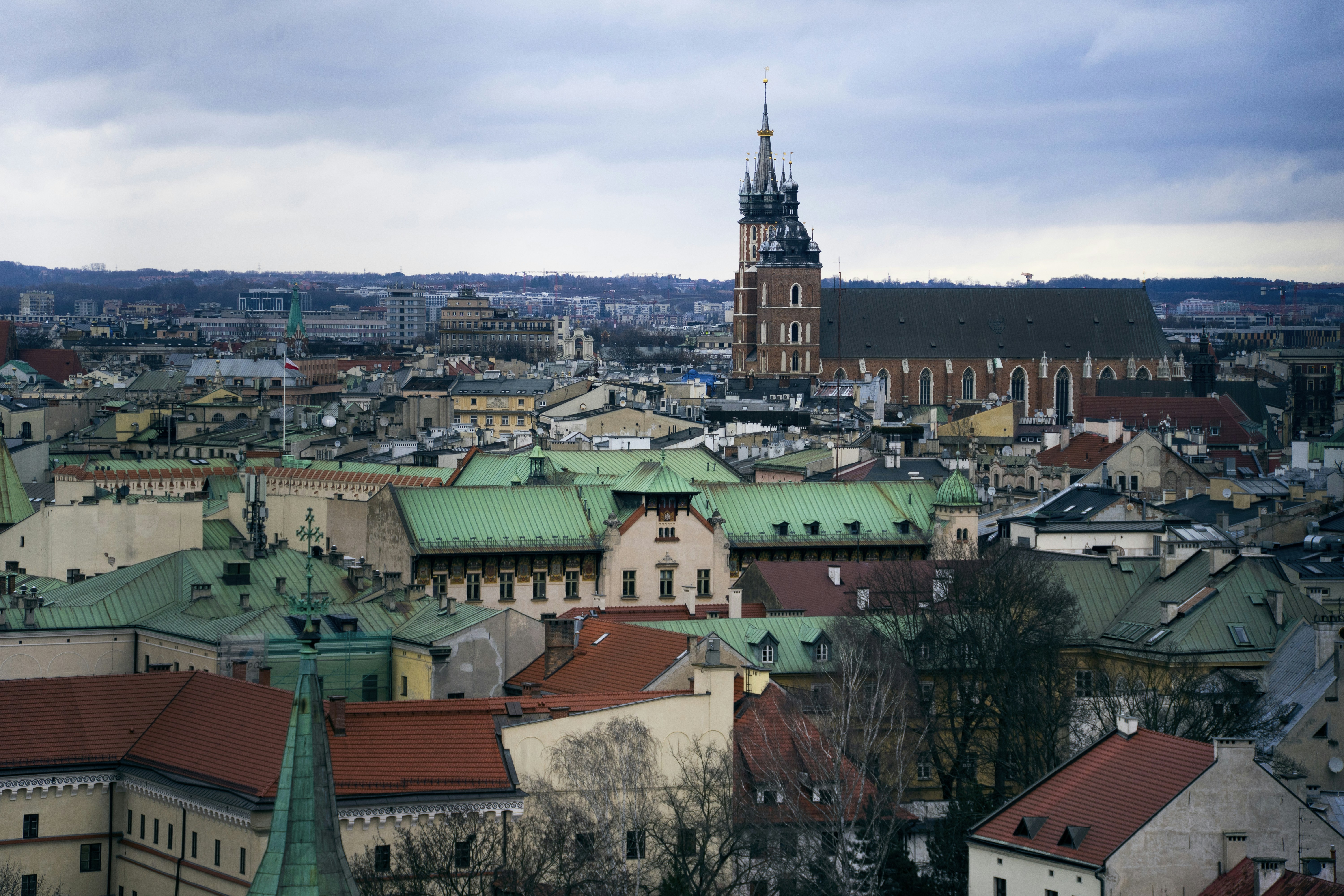 Rooftop Mosaic: A European Skyline Crowned by a Clock Tower