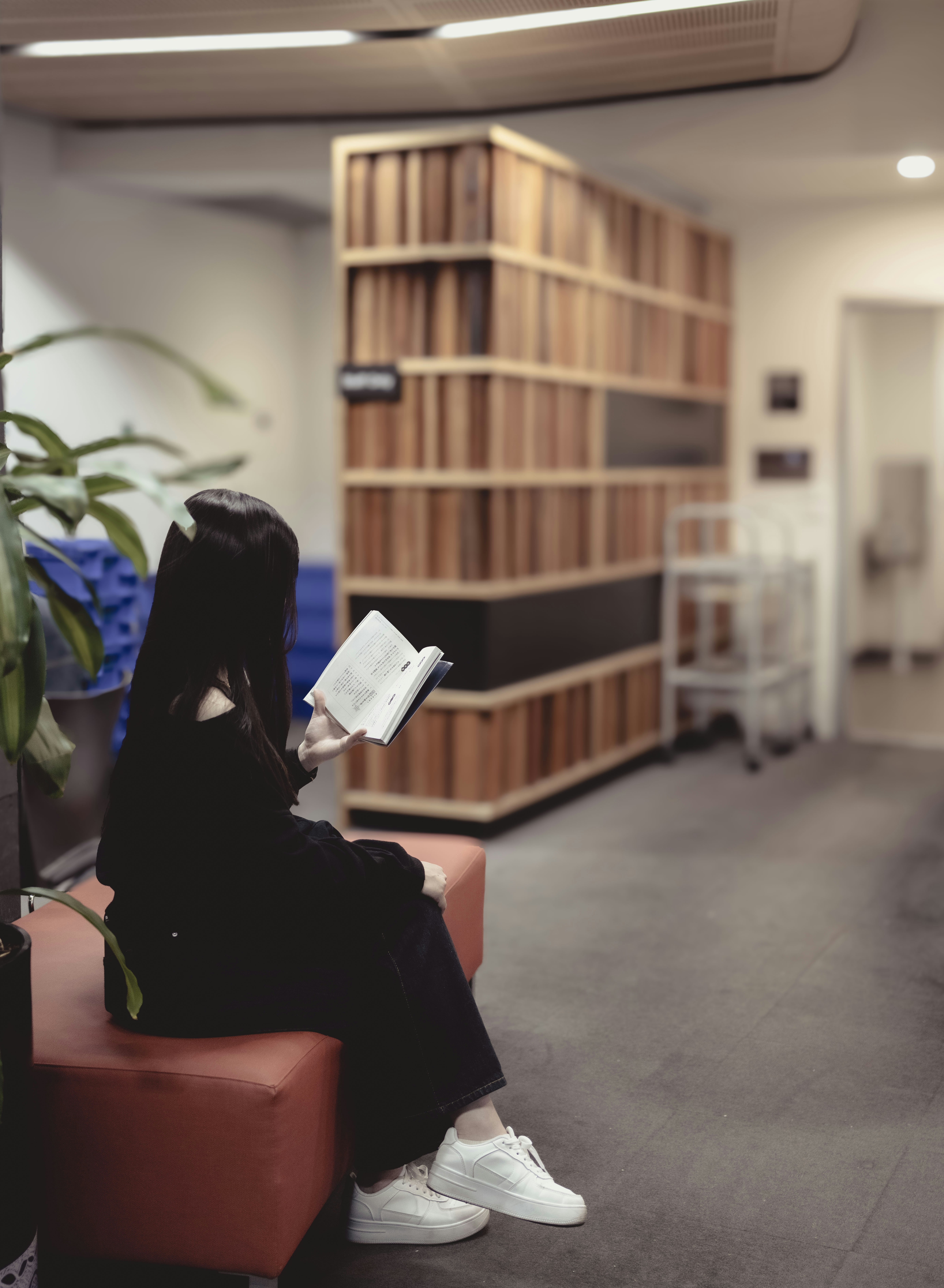 Reader on a Red Bench in a Shelving Alley
