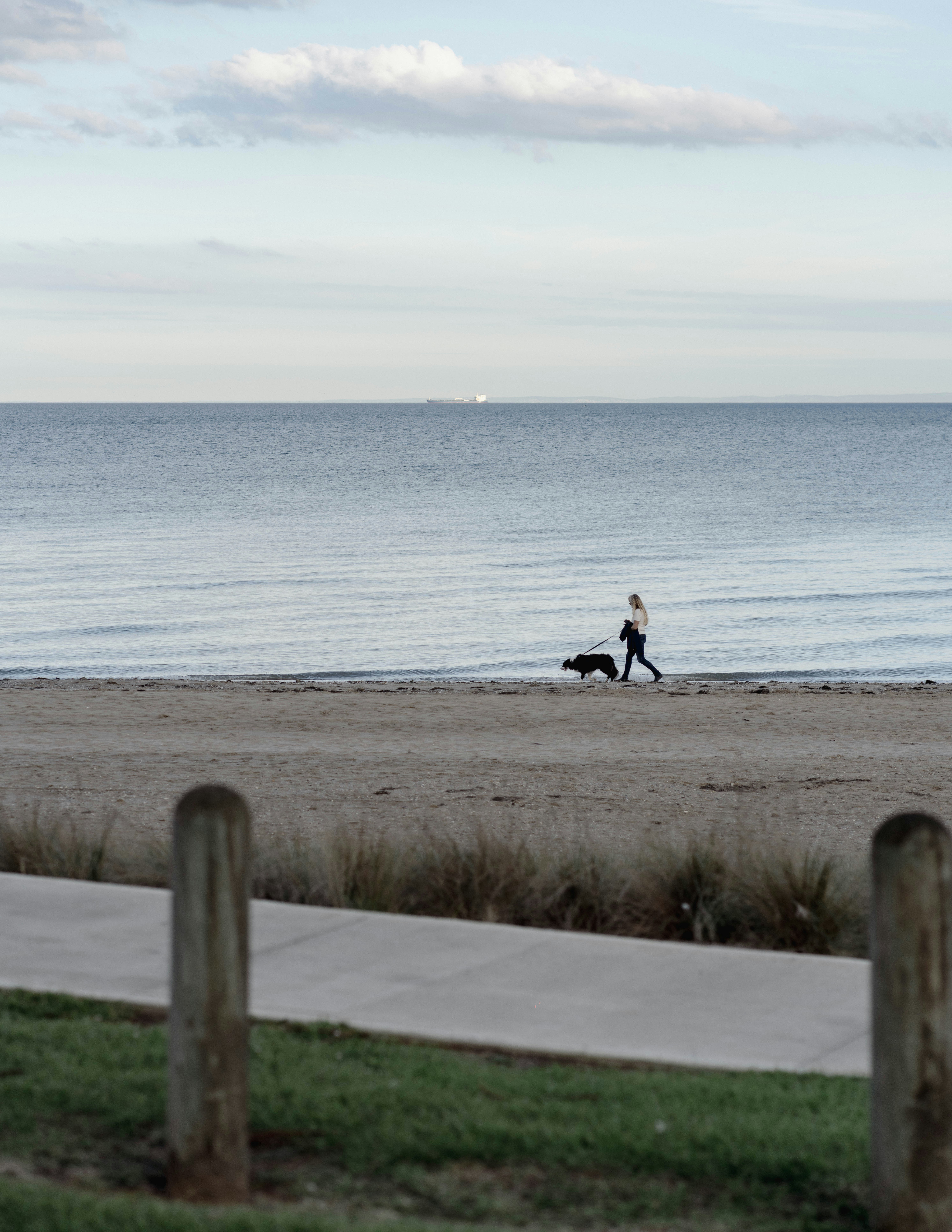 Quiet shoreline stroll: a jogger and dog along a calm sea