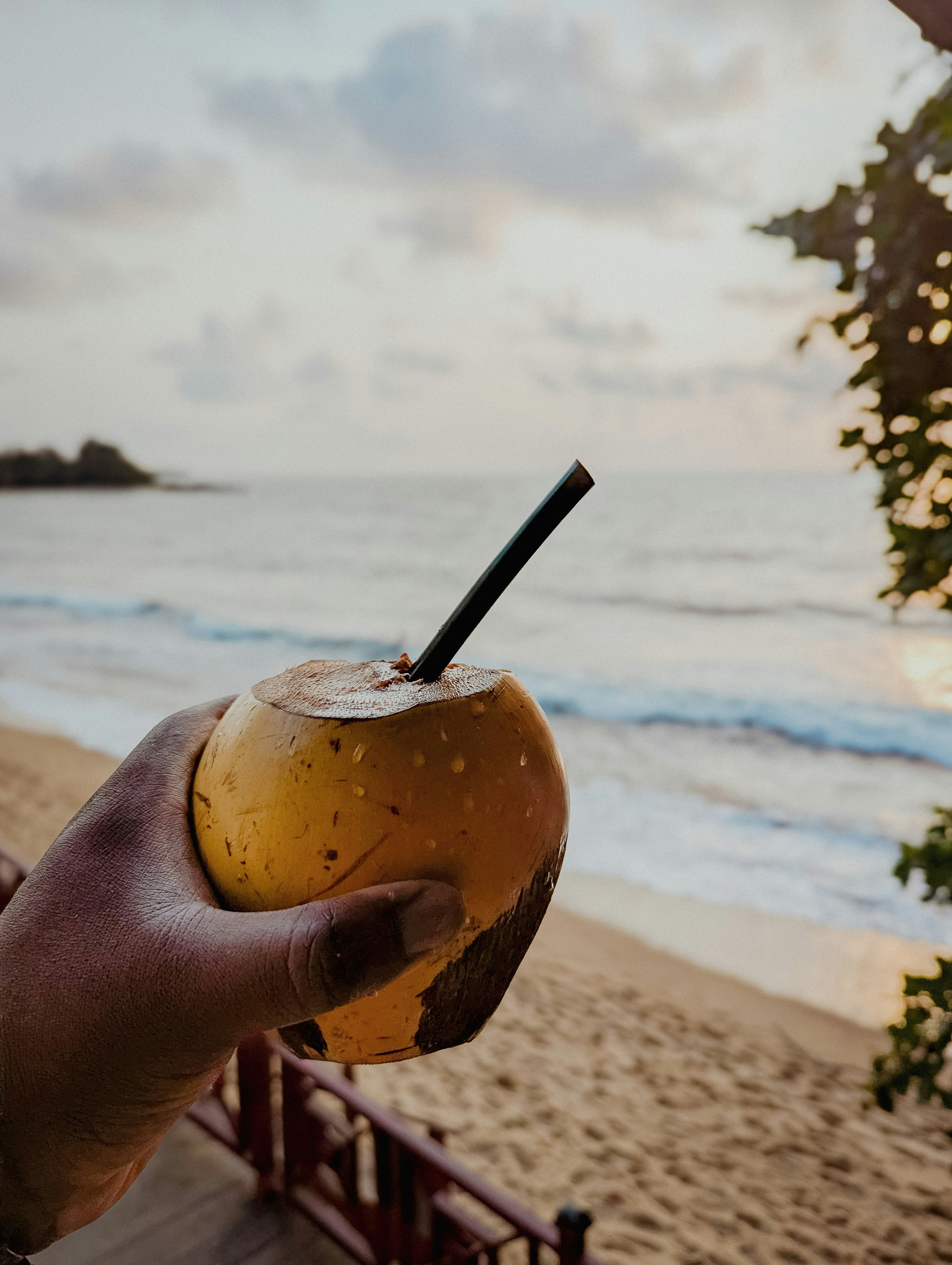 Hand holding a fresh coconut with straw on a sandy beach at sunset; waves in the background and palm fronds to the right. This is a photographed scene, not a drawing or logo.