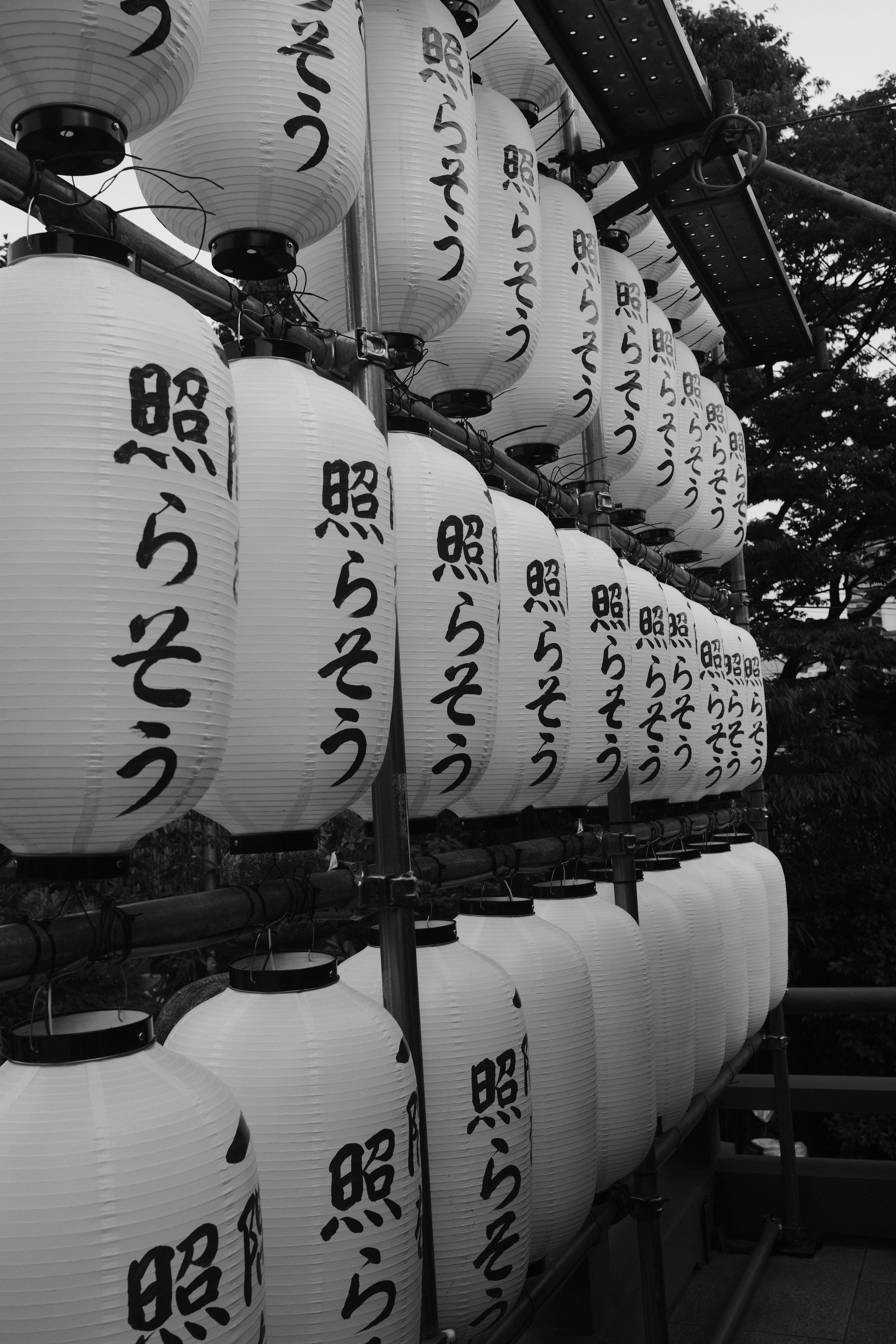 Lantern Veil: Rows of Japanese Paper Lamps in Soft Monochrome