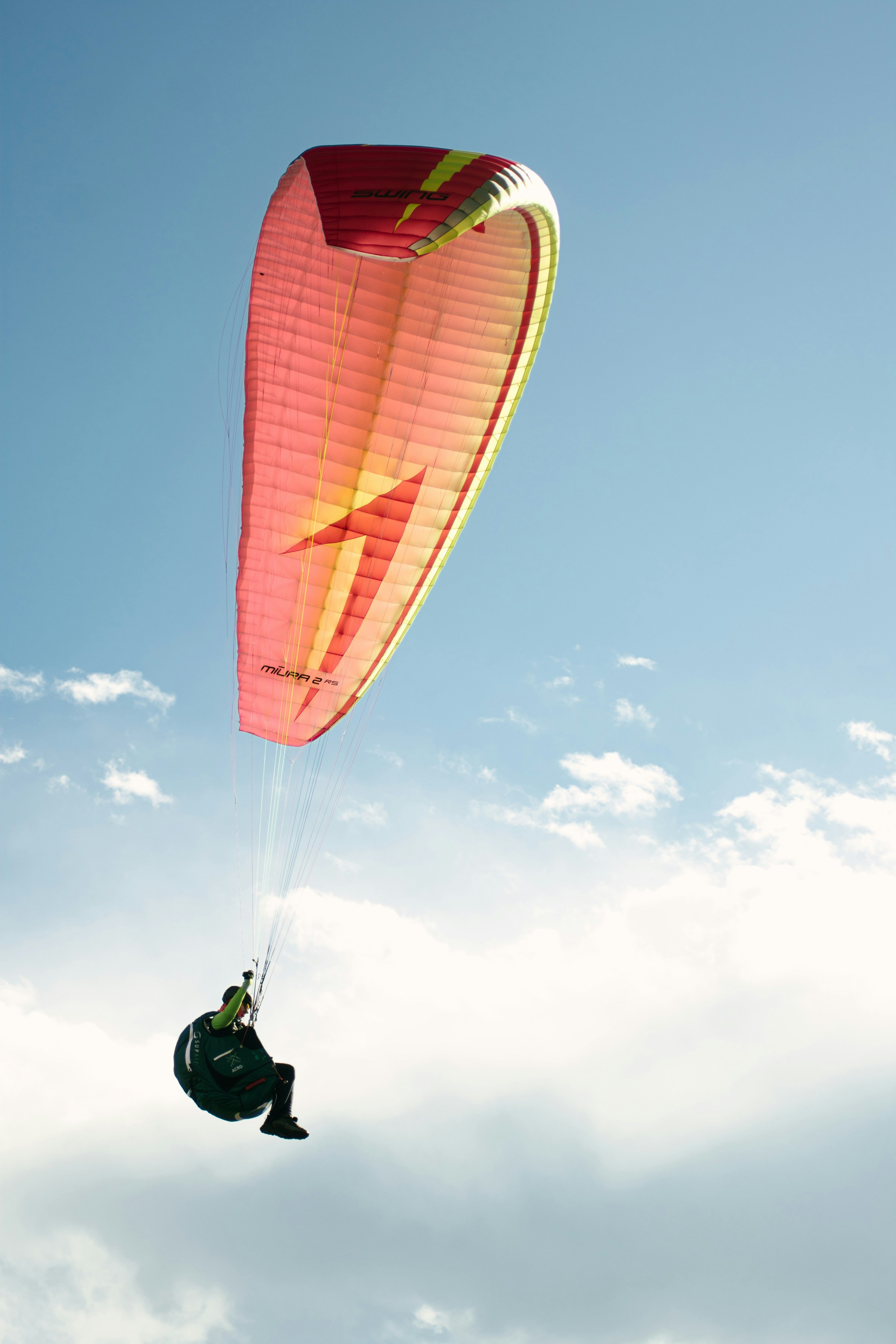 Striking Red Wing Soaring Above a Calm Sky