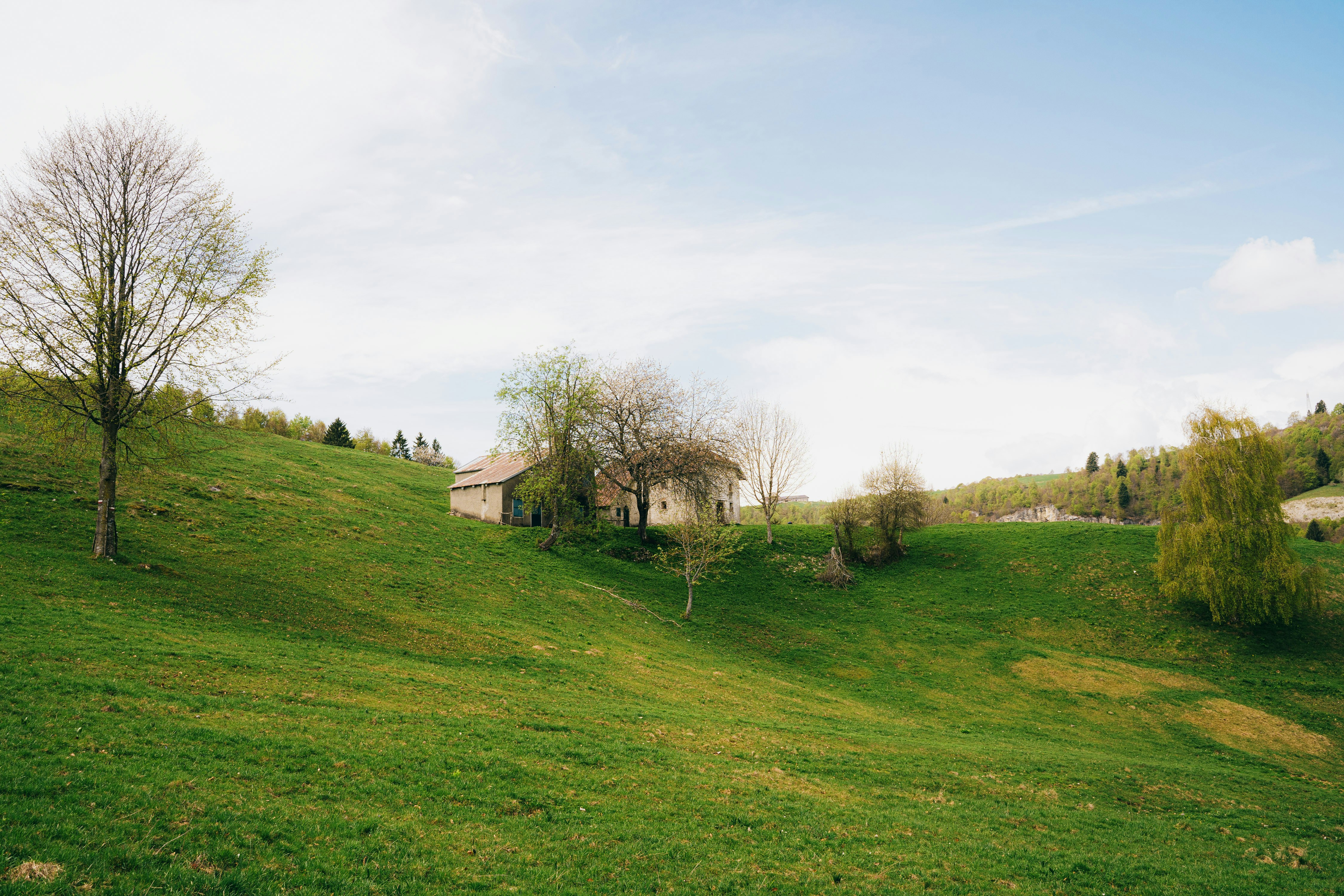 Hilltop Farmstead Nestled Among Spring Greens