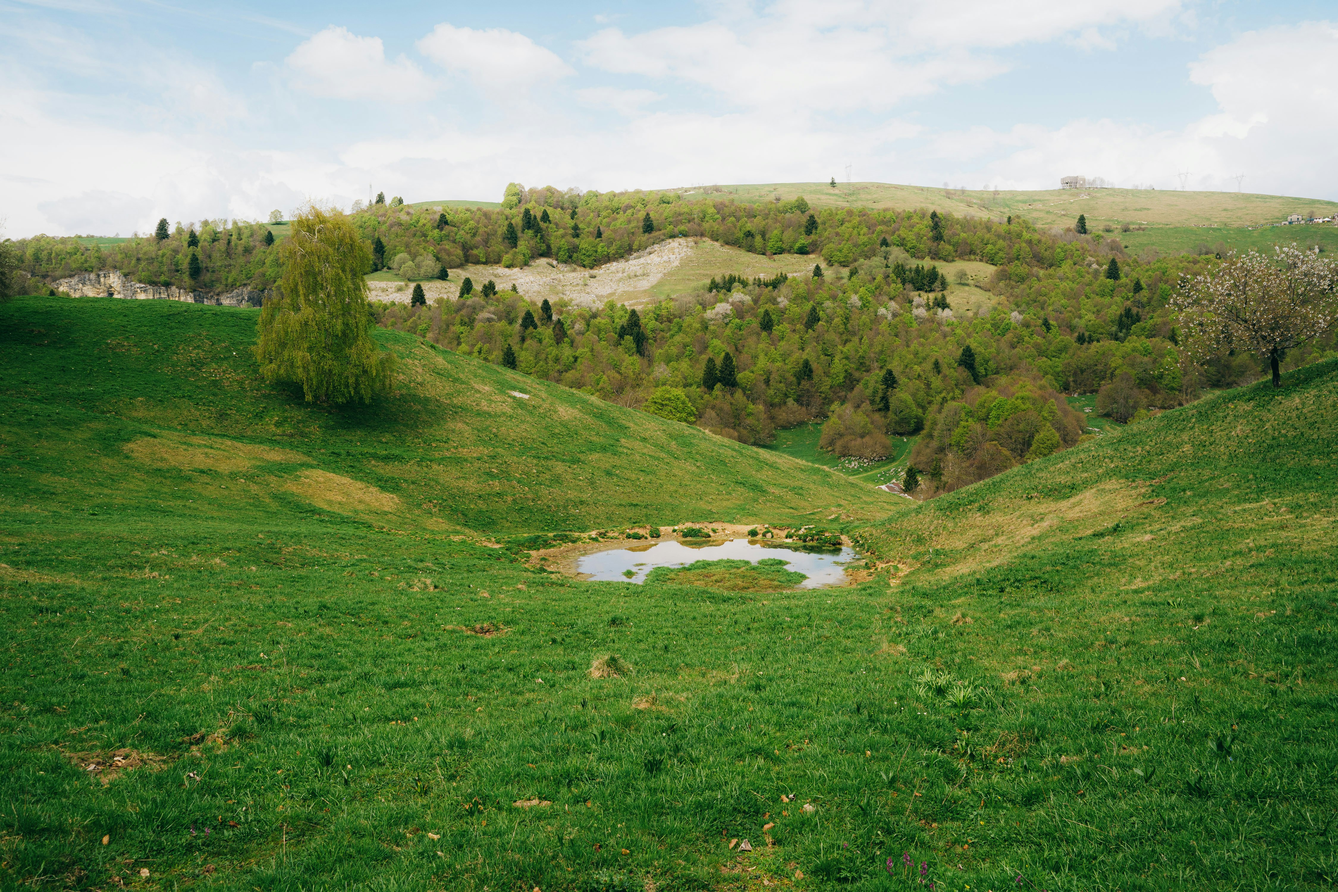 Green Valley Echoes: A Quiet Pond Amid Rolling Hills