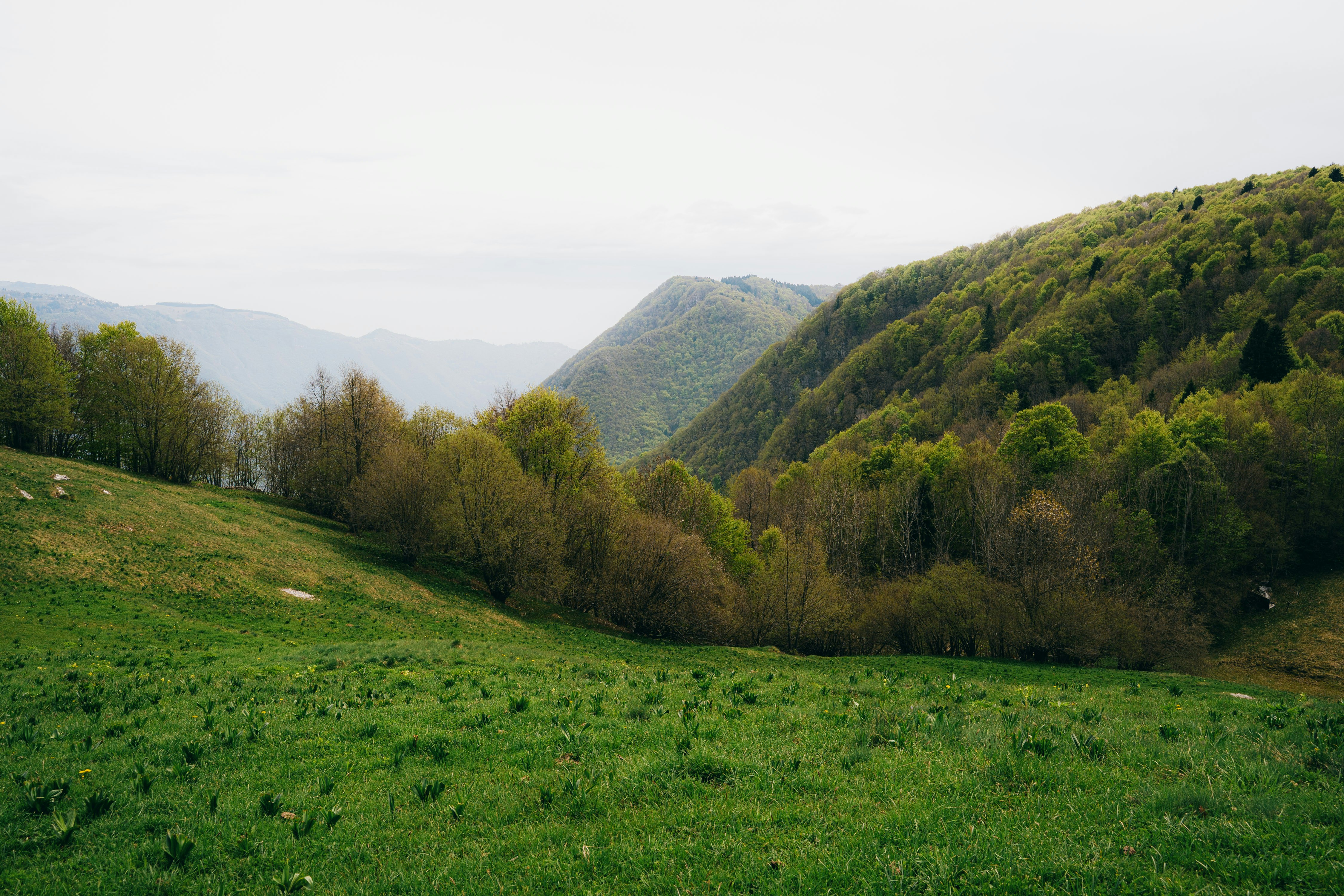 Gentle Valley Crest: Rolling Green Slopes Meet Verdant Hills