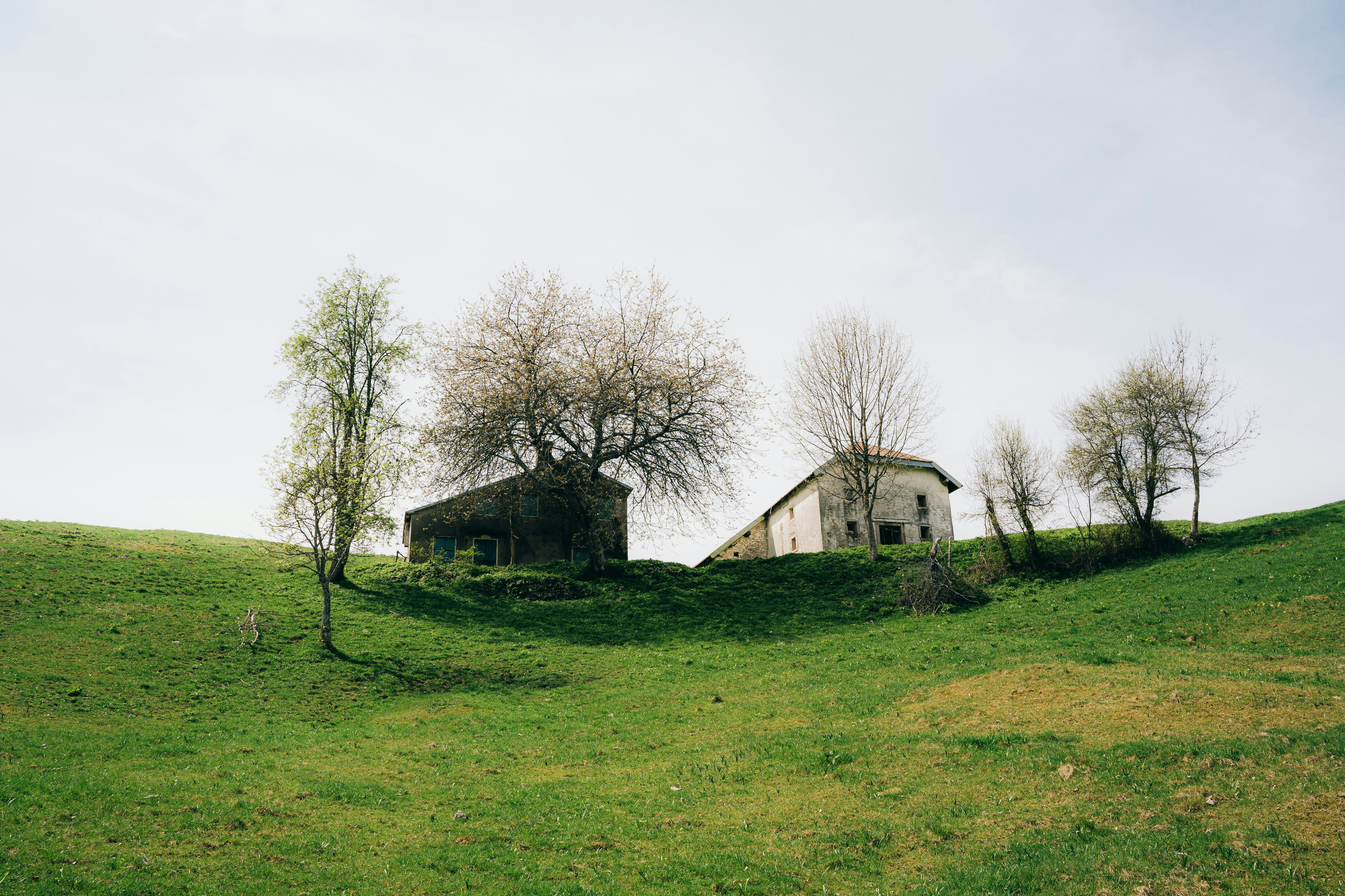Quiet Hilltop Homestead Under Spring Trees
