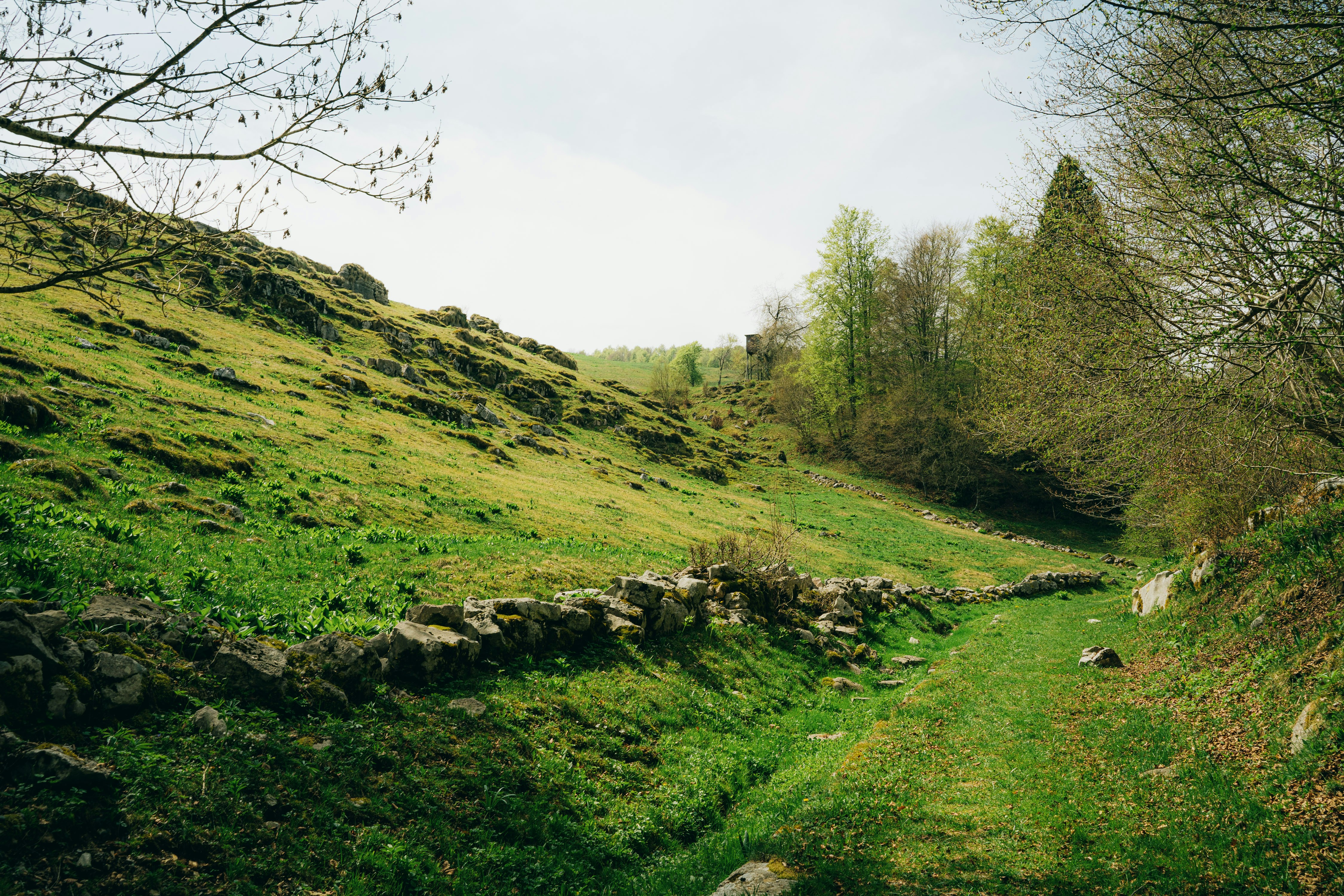 Green Valley Trail Under a Quiet Spring Sky