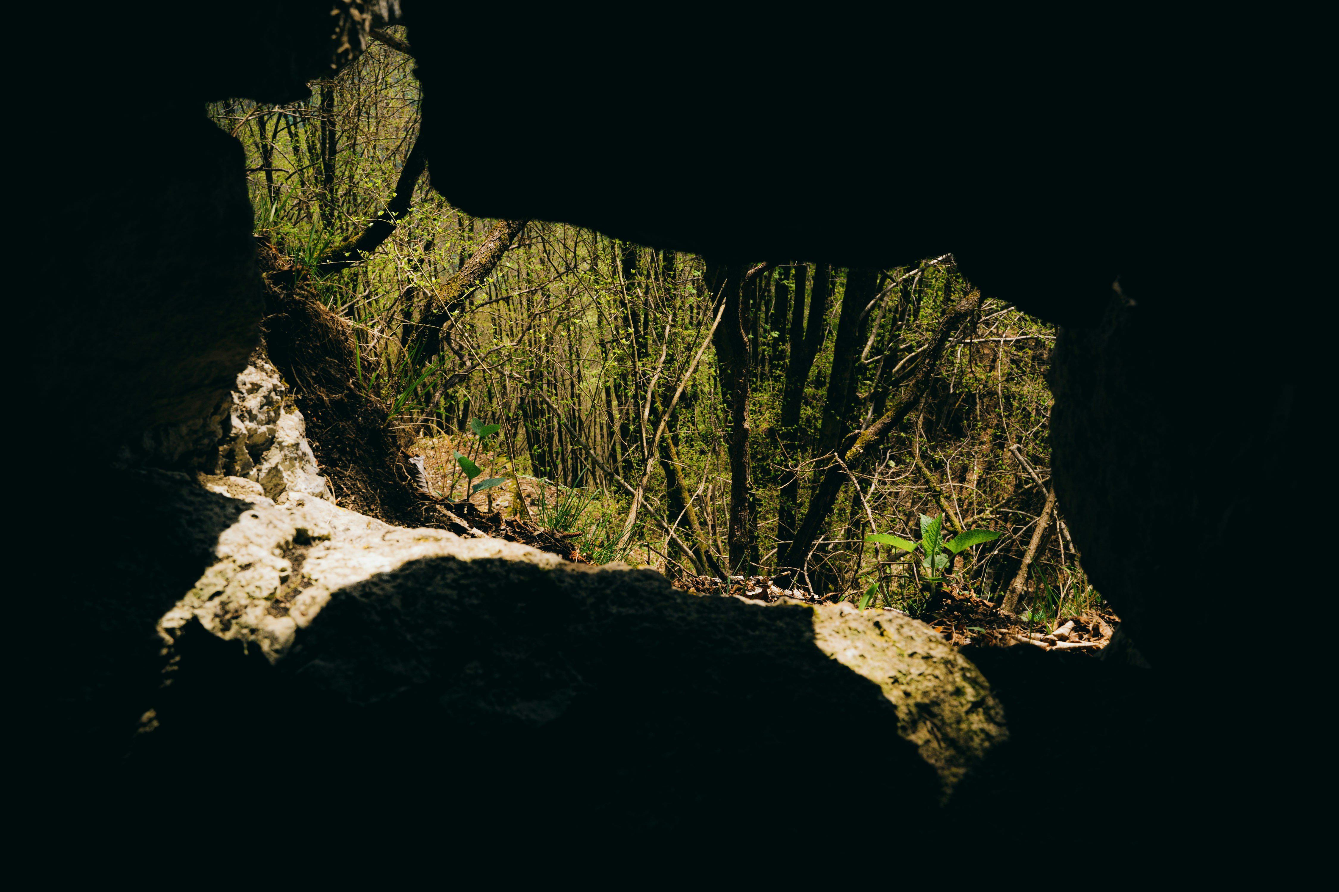 Hidden Glade View Through a Crumbling Portal