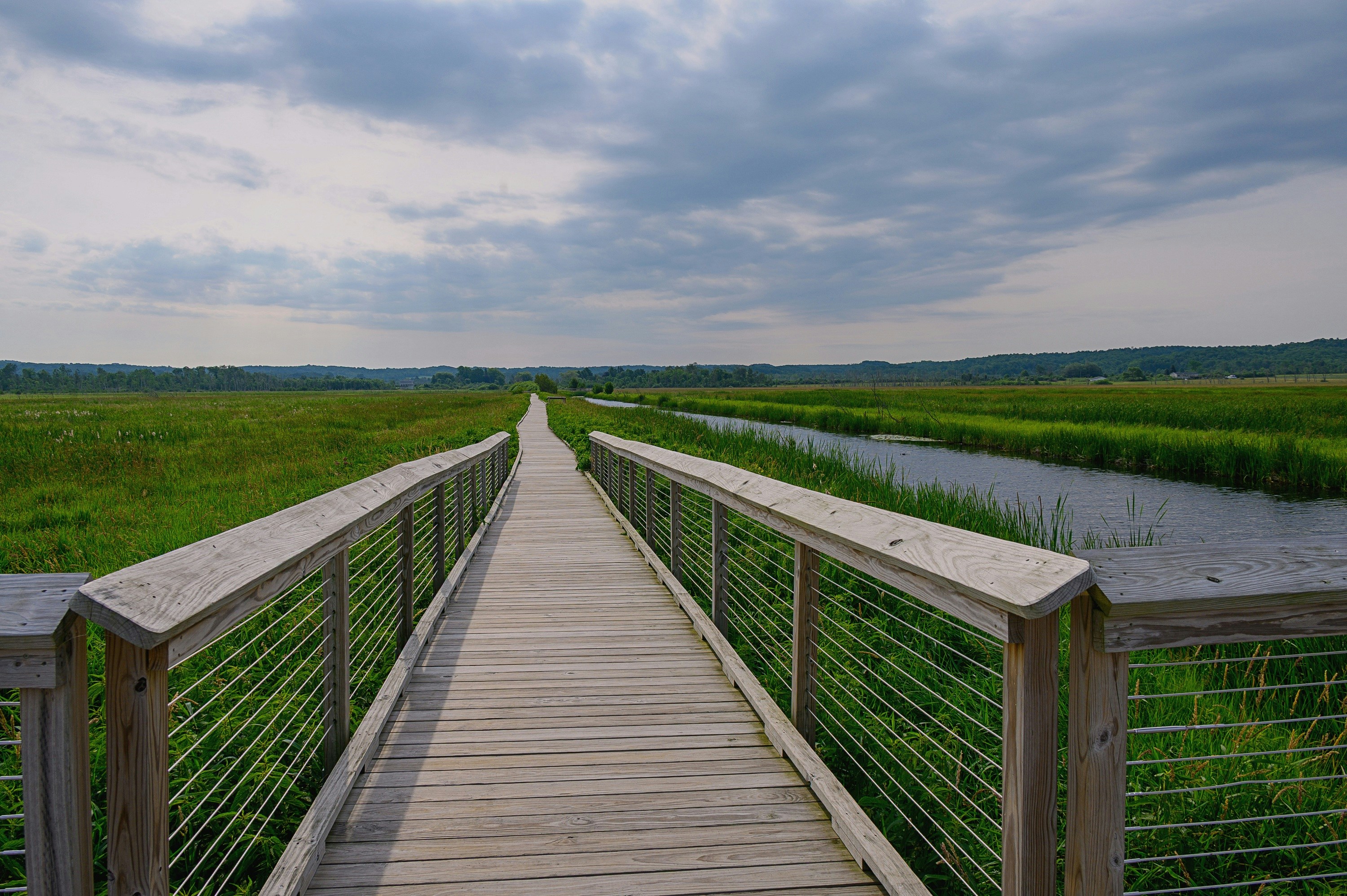The Endless Boardwalk Through Marshlight
