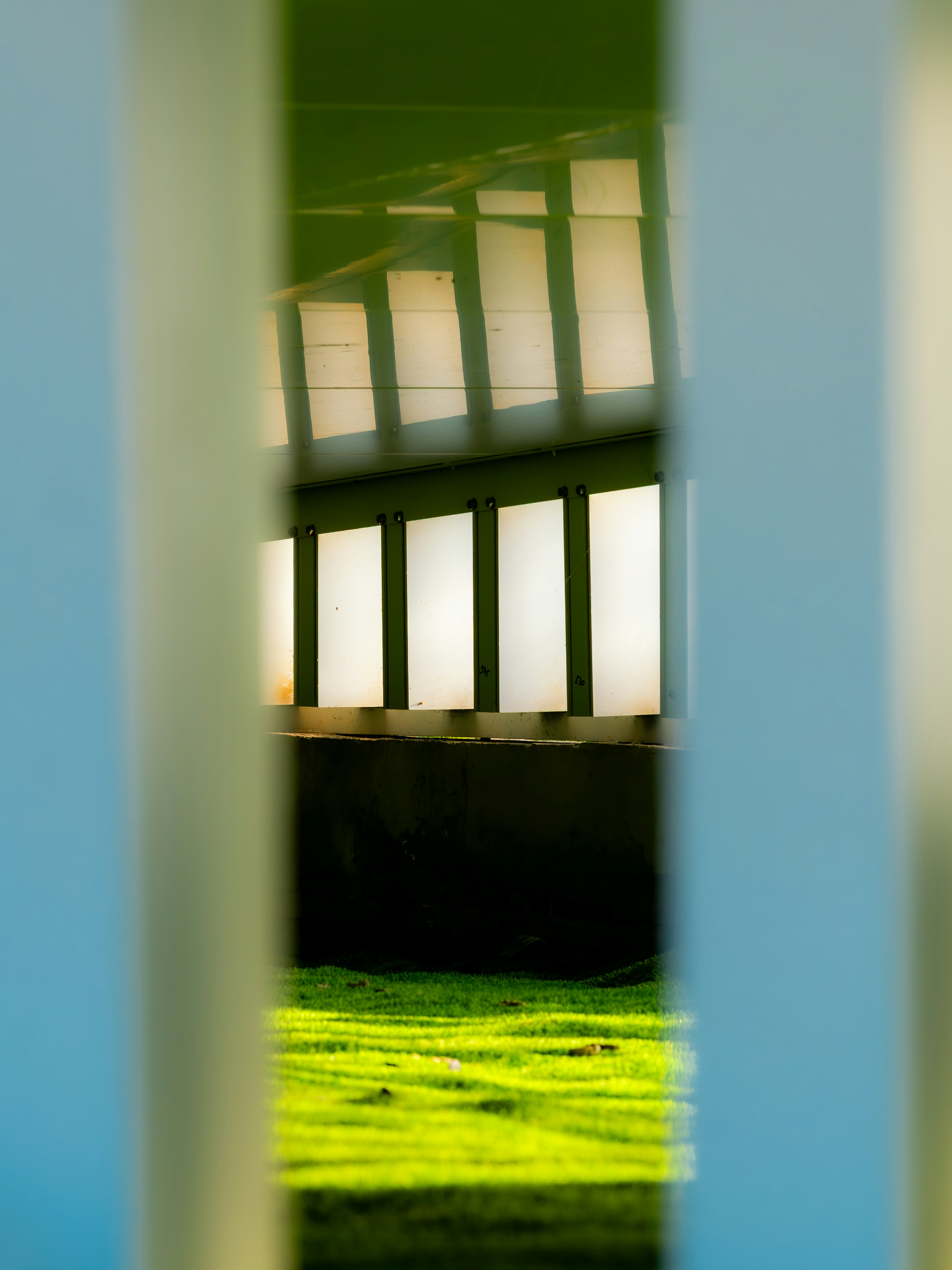 Between Vertical Slats: Sunlit Green Lawn Through a Pierced Fence