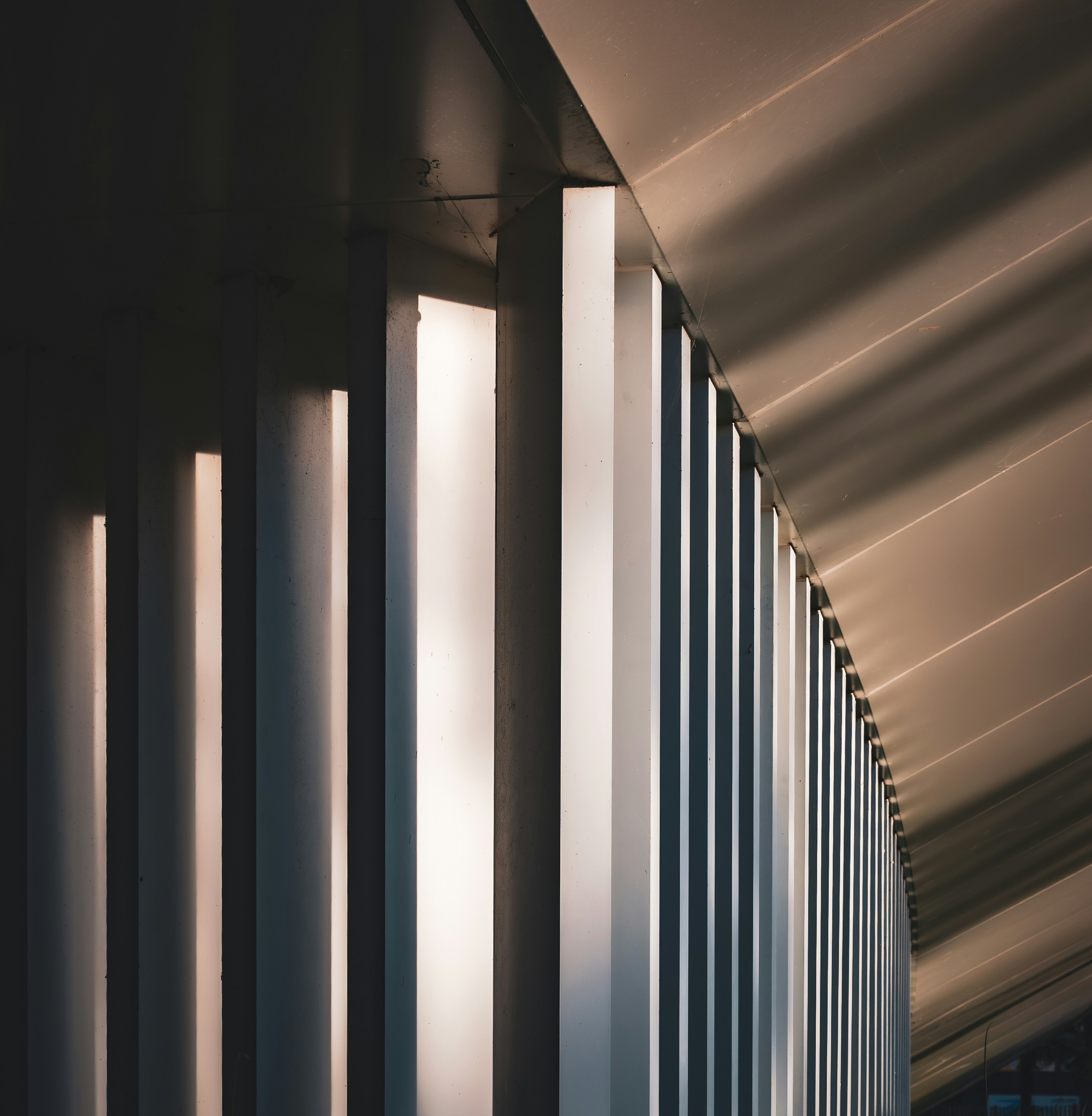 Shadowed Columns: Light Stripes Recurve Through a Curved Ceiling
