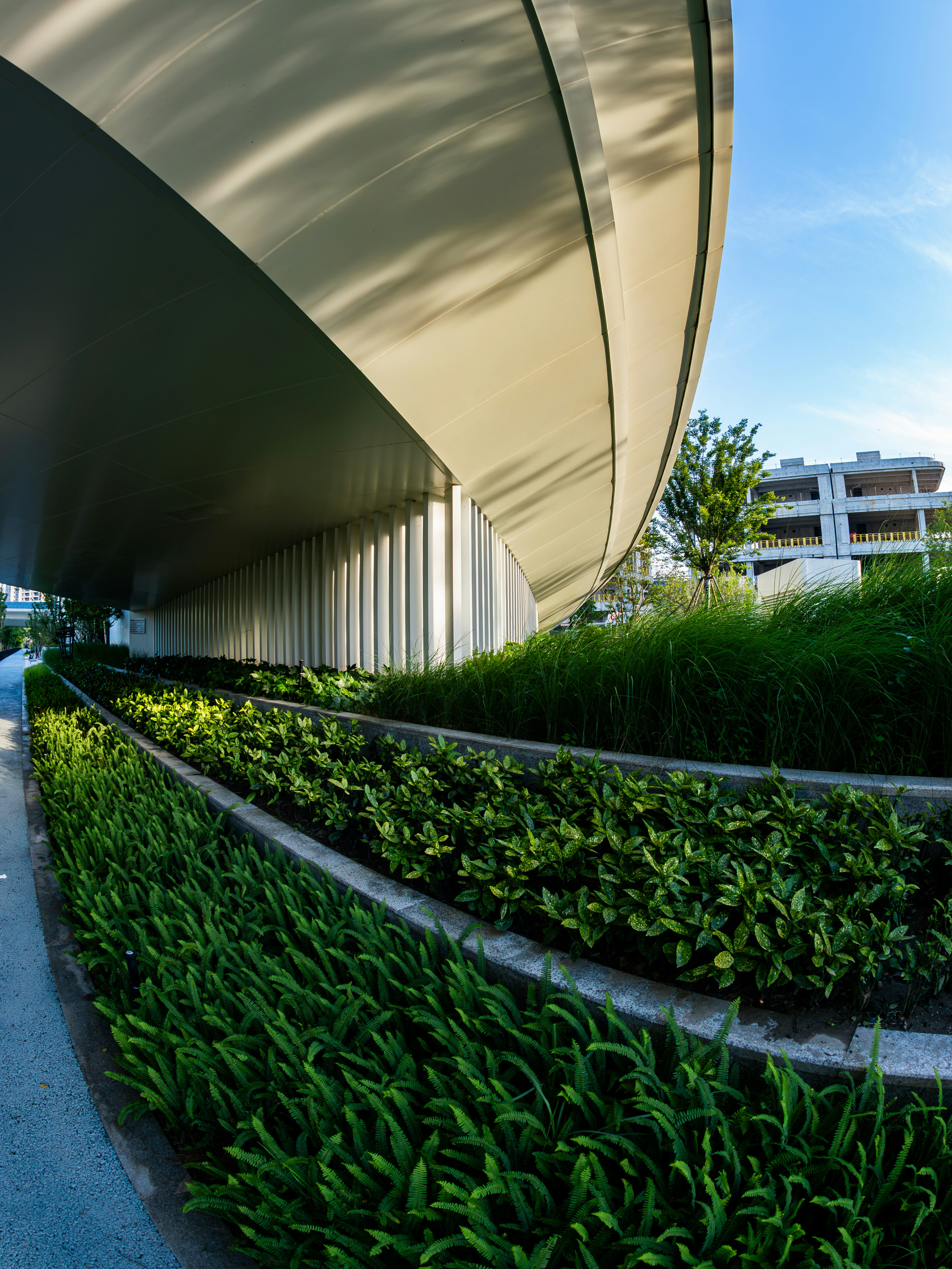 Architectural curve and layered greenery along a building under a sweeping overhang, with a path and planters receding into the shade.