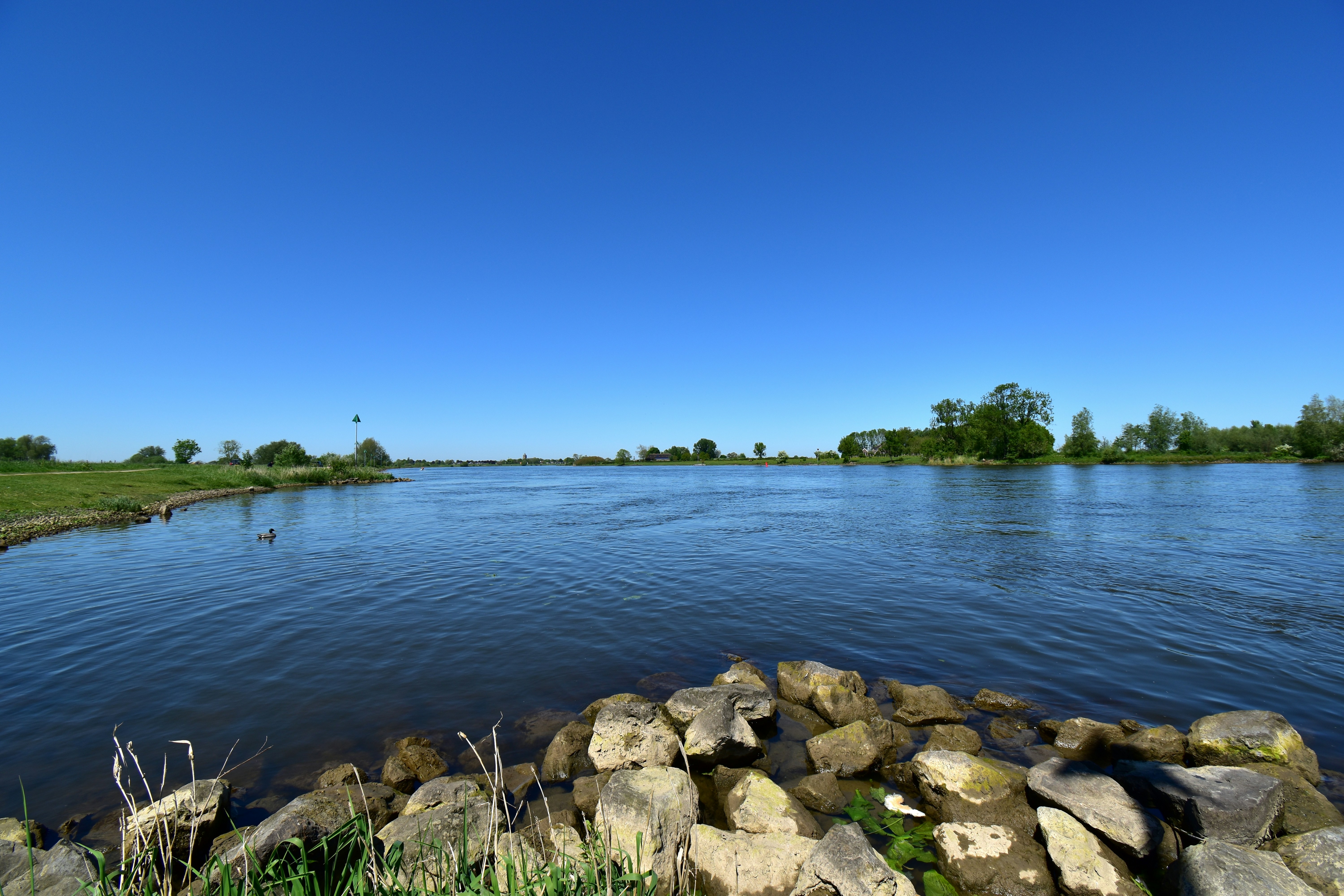 Rugged shoreline Meeting a Wide River under a Clear Sky