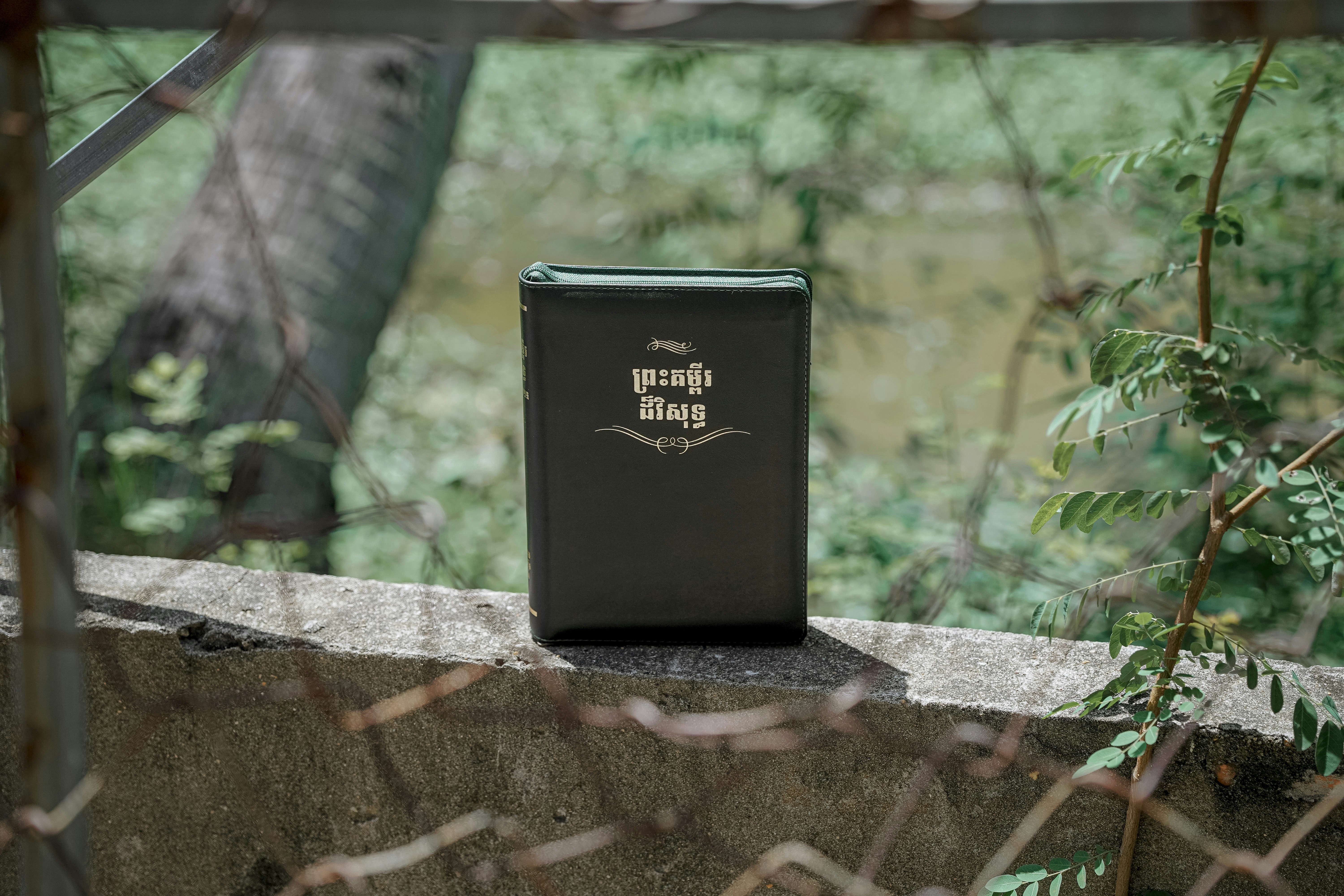 A solitary leather-bound journal rests on a mossy ledge