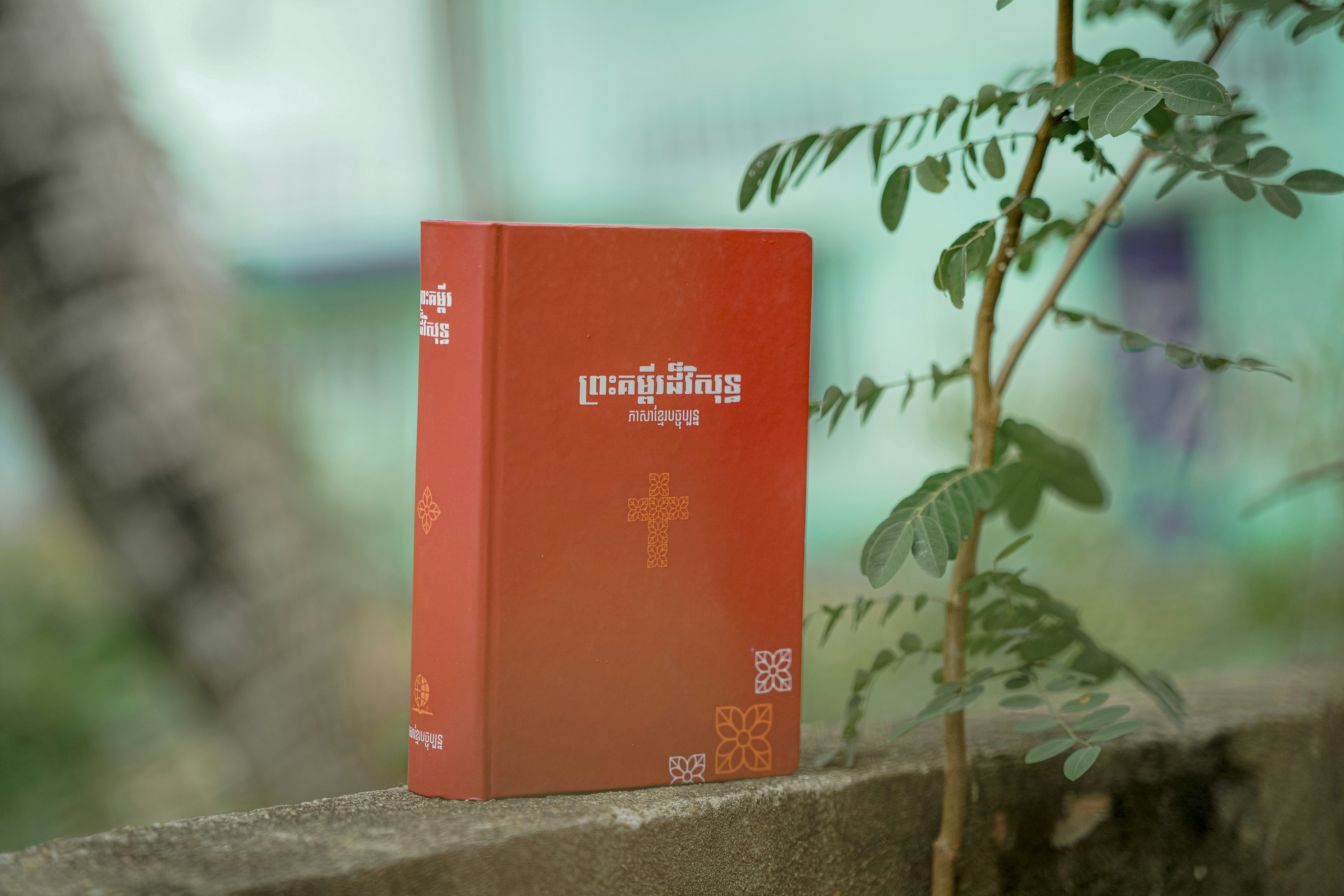 Crimson Bible on a Concrete Ledge
