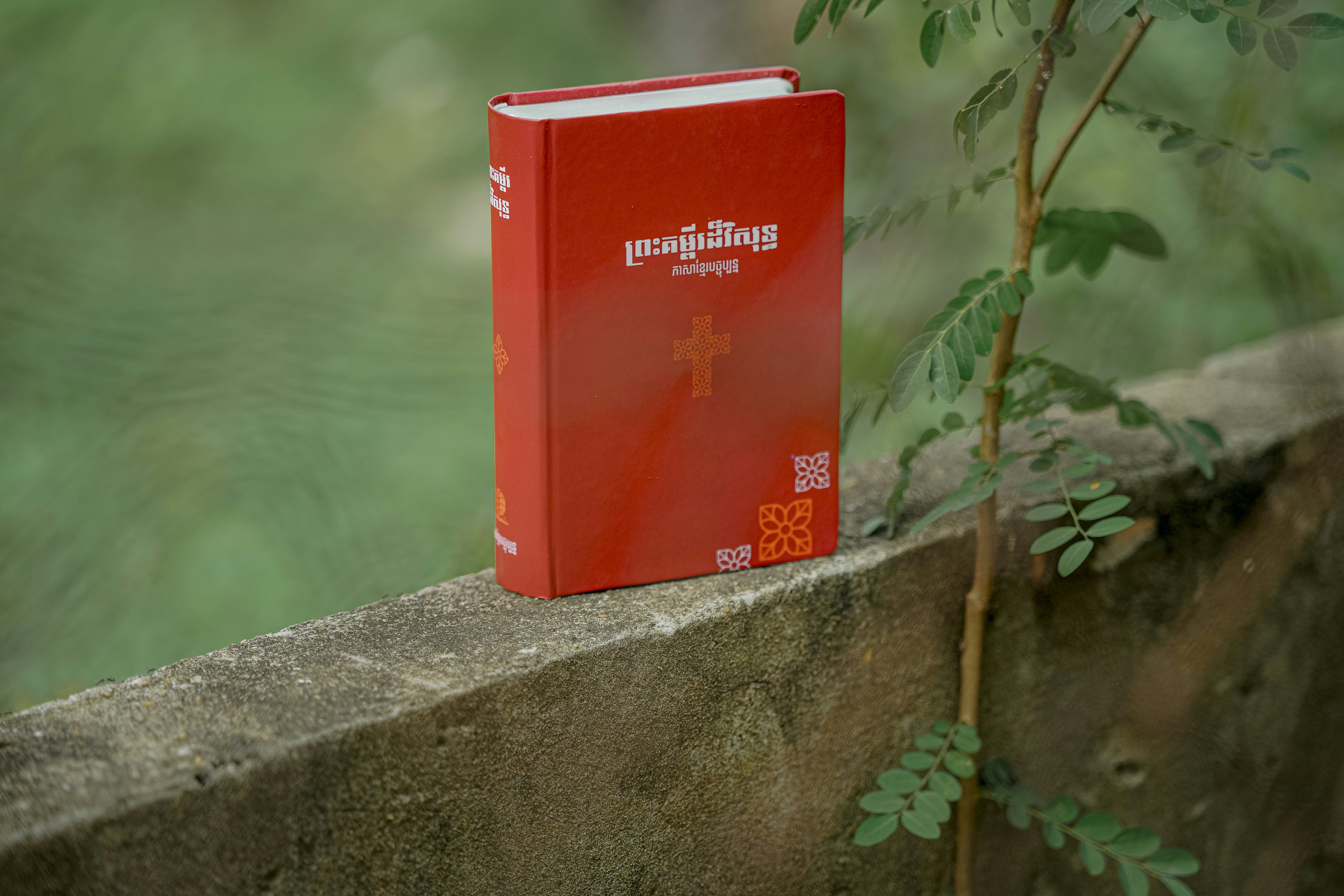 A Red Testament: A Small Bible resting on a mossy ledge
