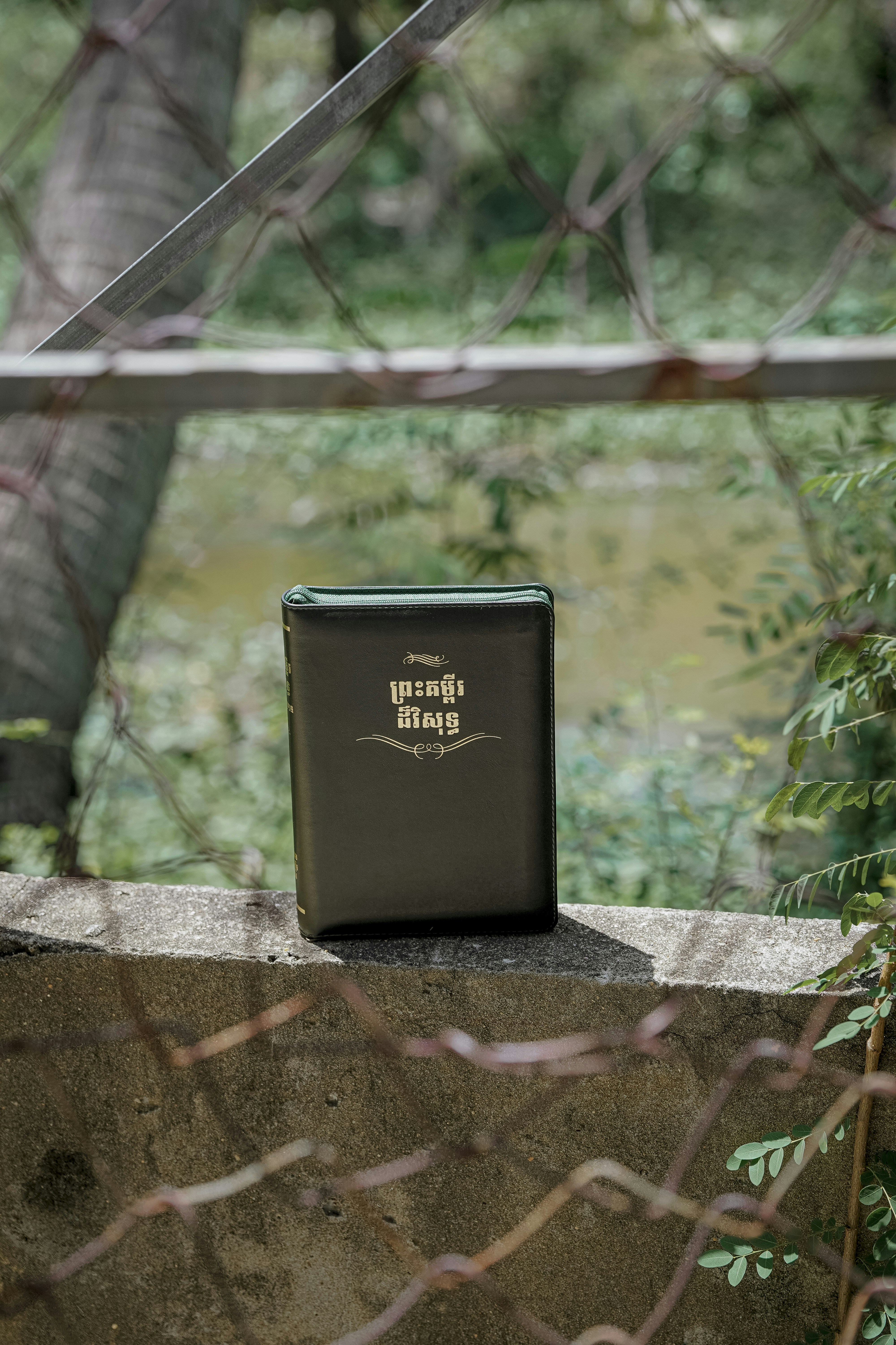 Sunlit Passport Wallet Resting on a Concrete Wall