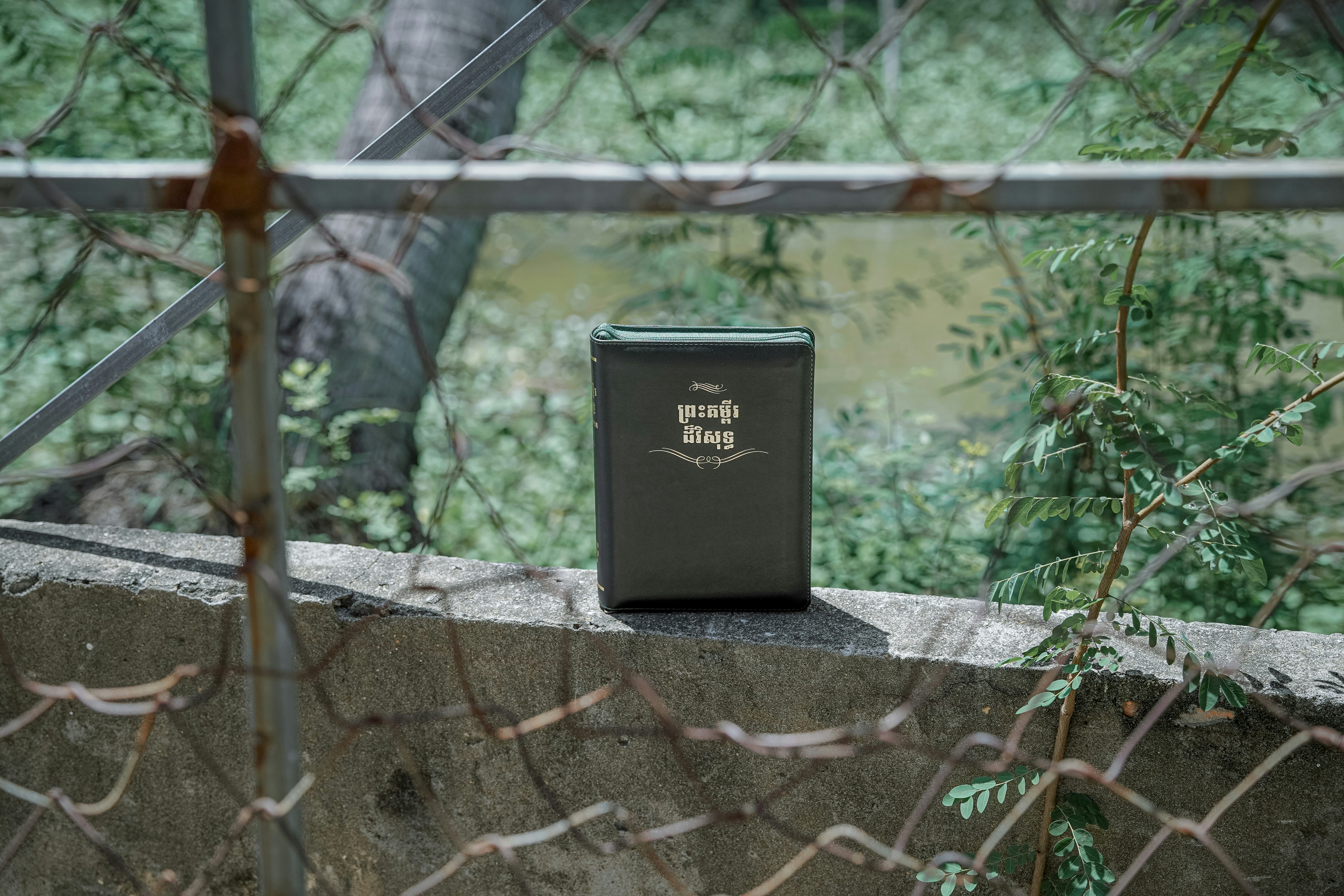 A lone deck of playing cards resting on a weathered concrete ledge