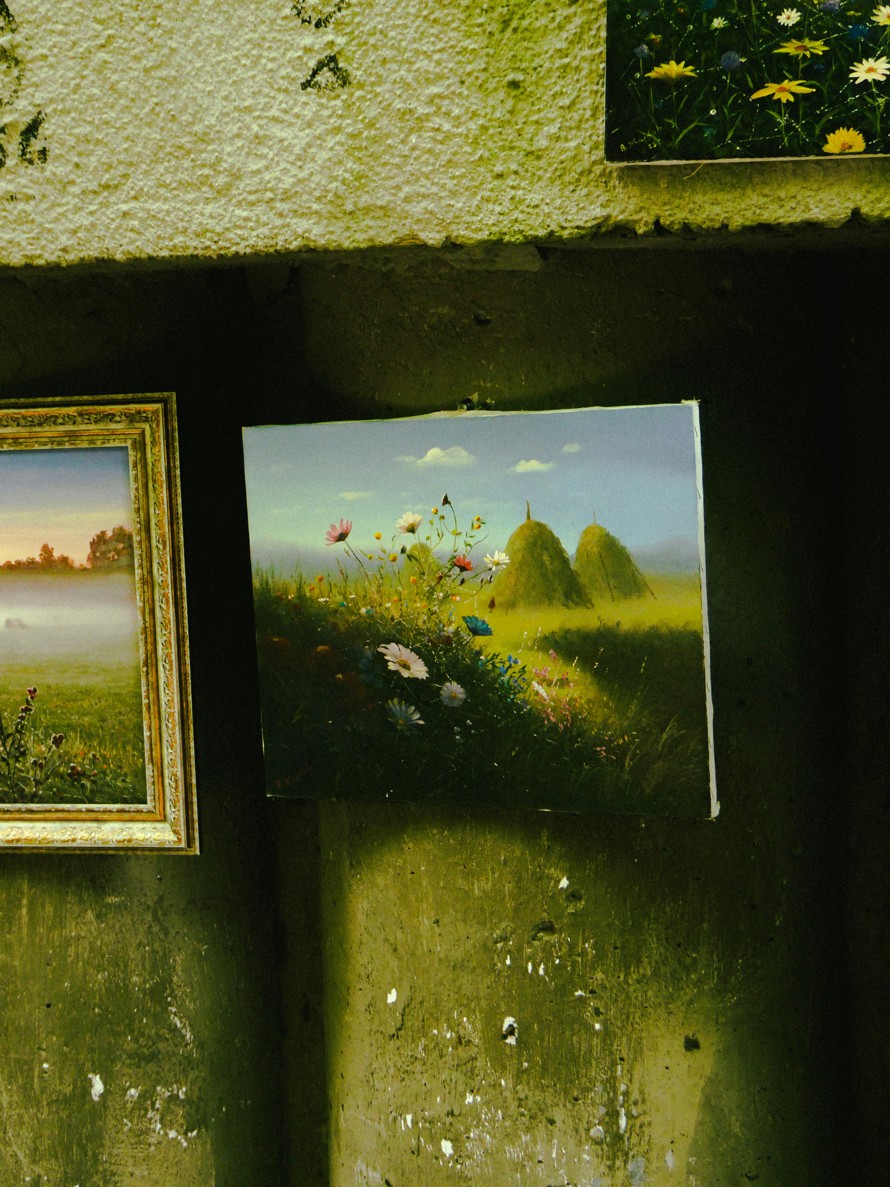 Printed Meadow: Framed Scenes on a Weathered Wall