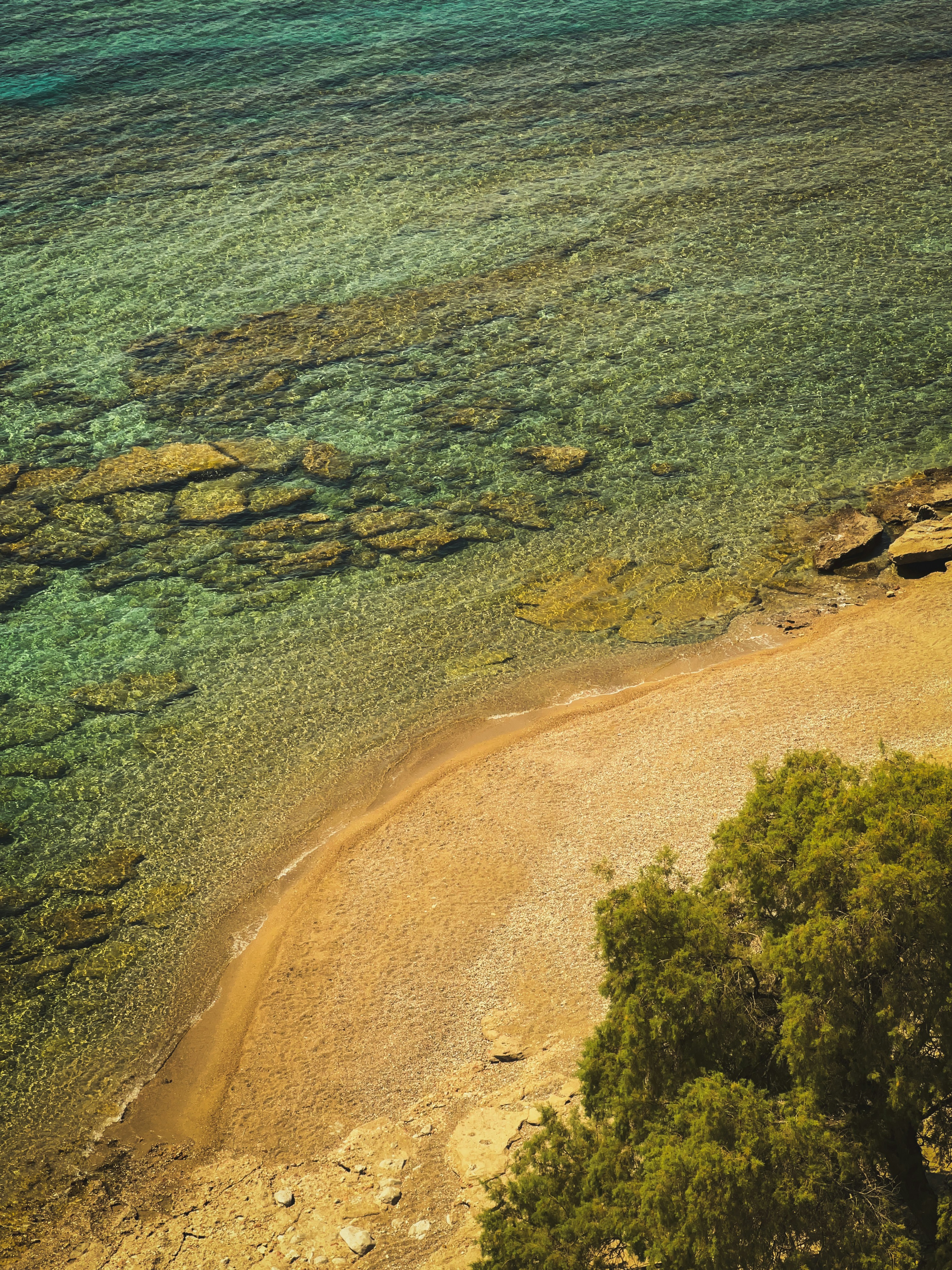 A Coastal Bend: Clear Waters Meet Golden Shore