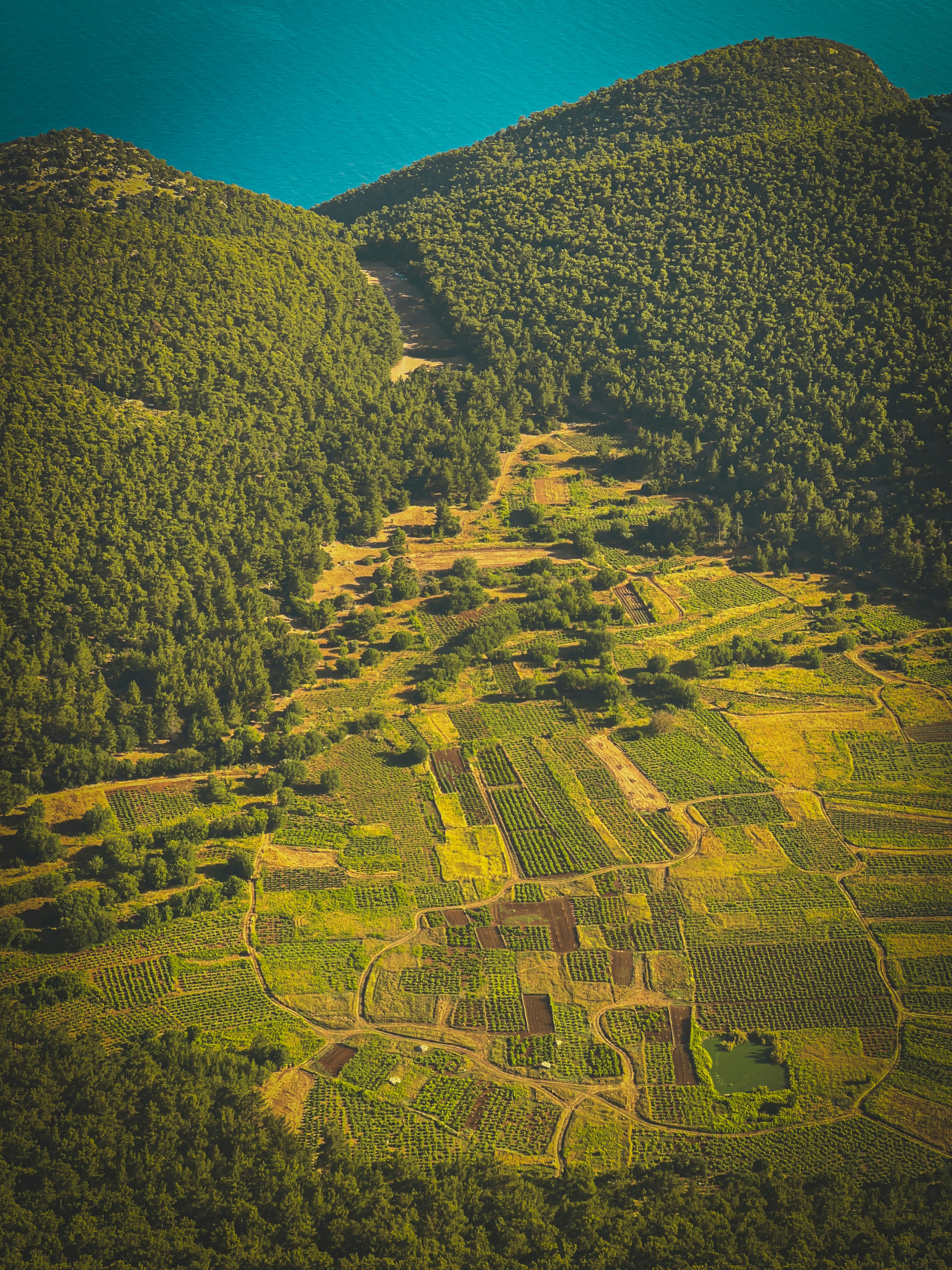 Terraced Valleys Beneath a Turquoise Sea