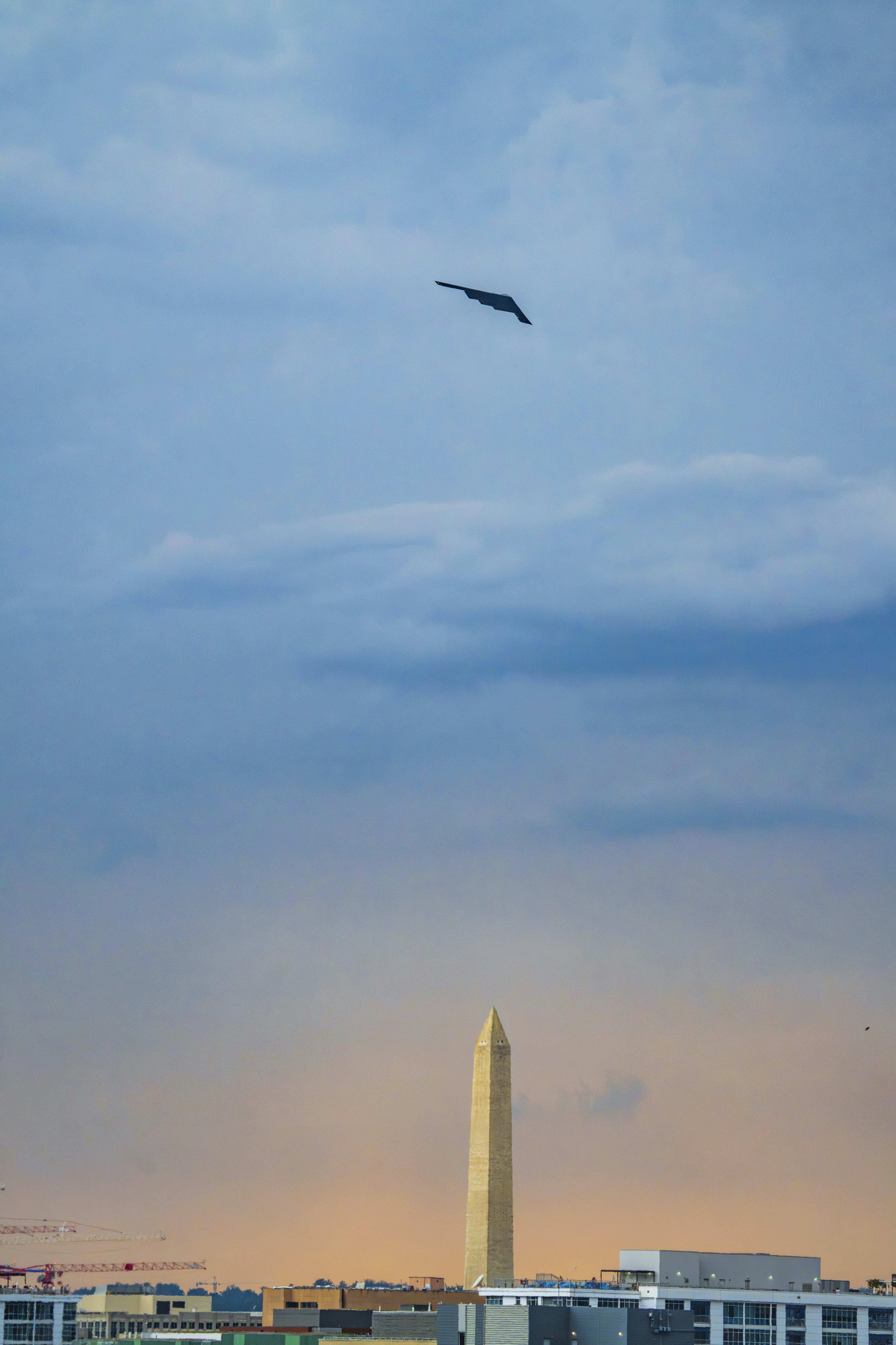 A solitary glider above the city skyline at dusk