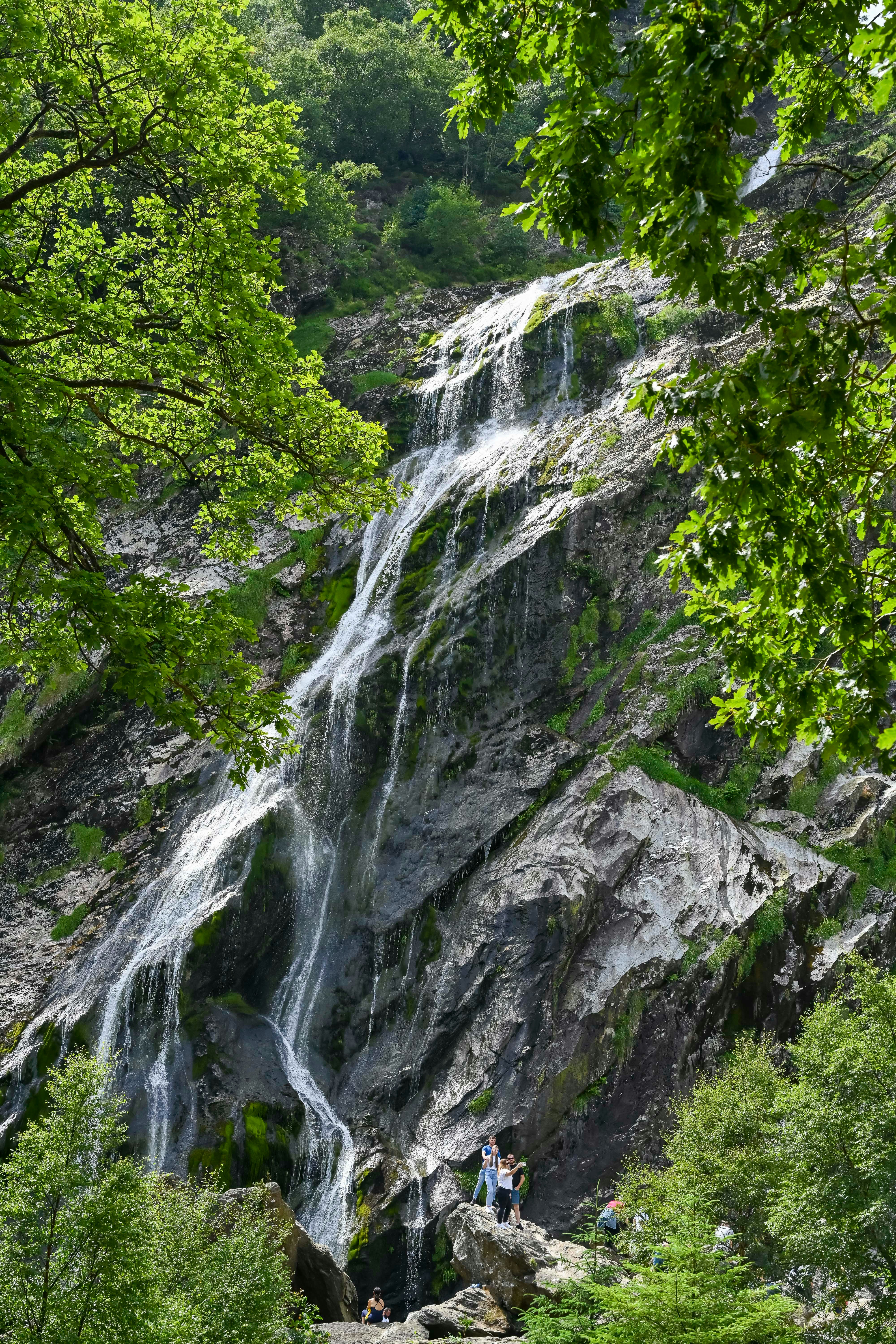 Liquid Veil: A Forest Stairway to the Waterfall’s Edge