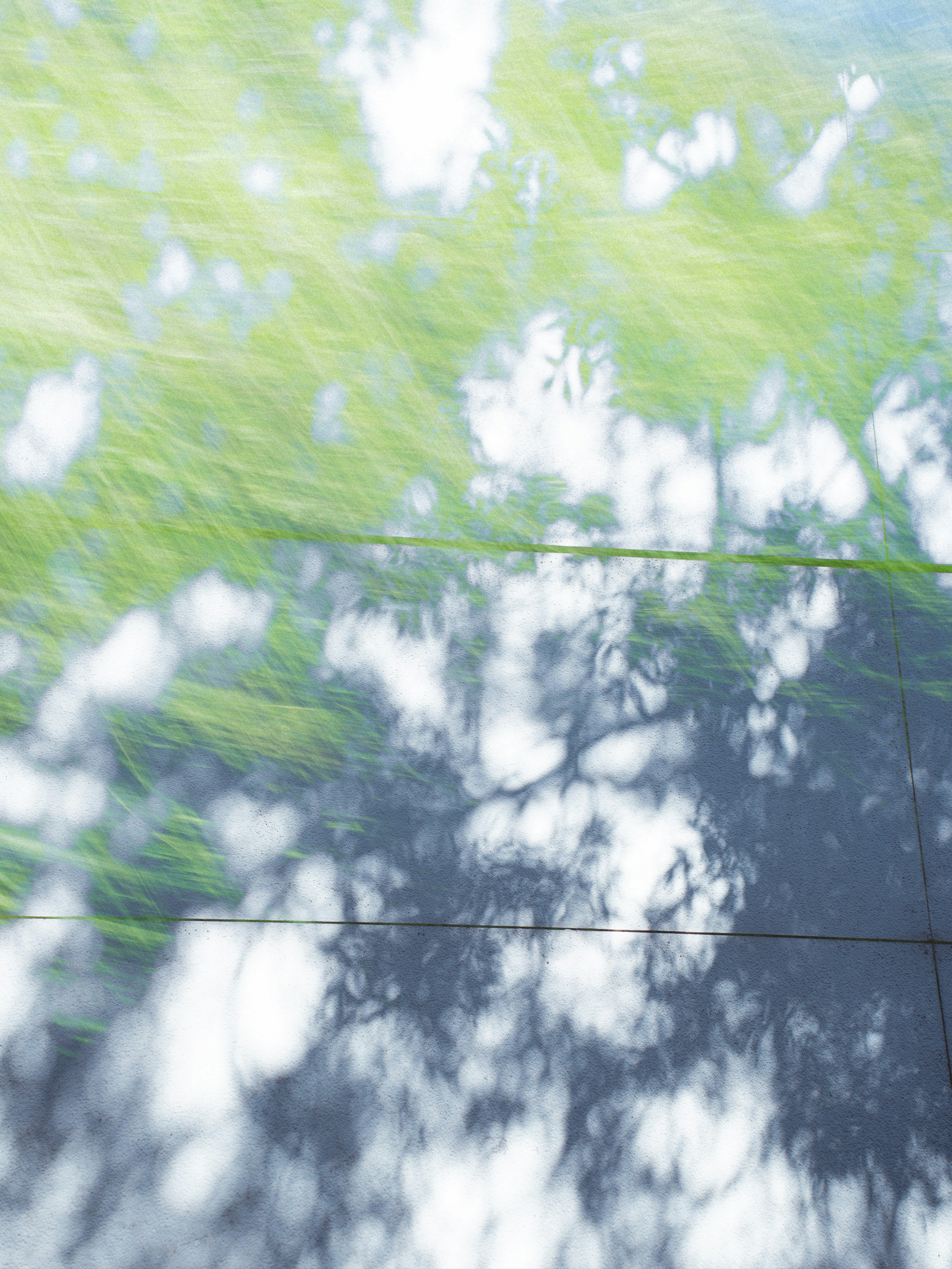 Green over Gray: Abstract Building Facade Dappled by Light and Shadow