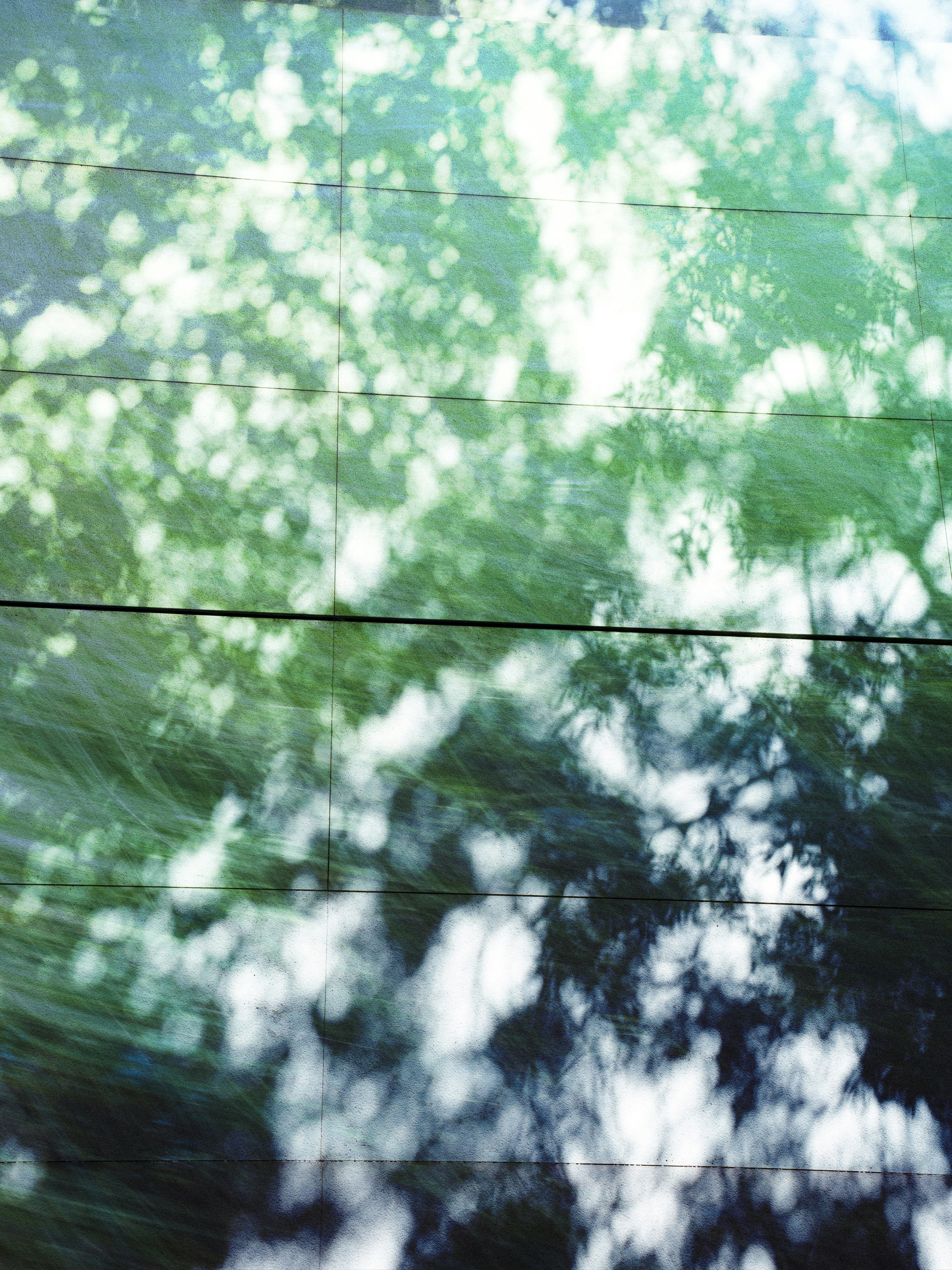 Chiaroscuro Green: Dappled Light Across a Woven Surface