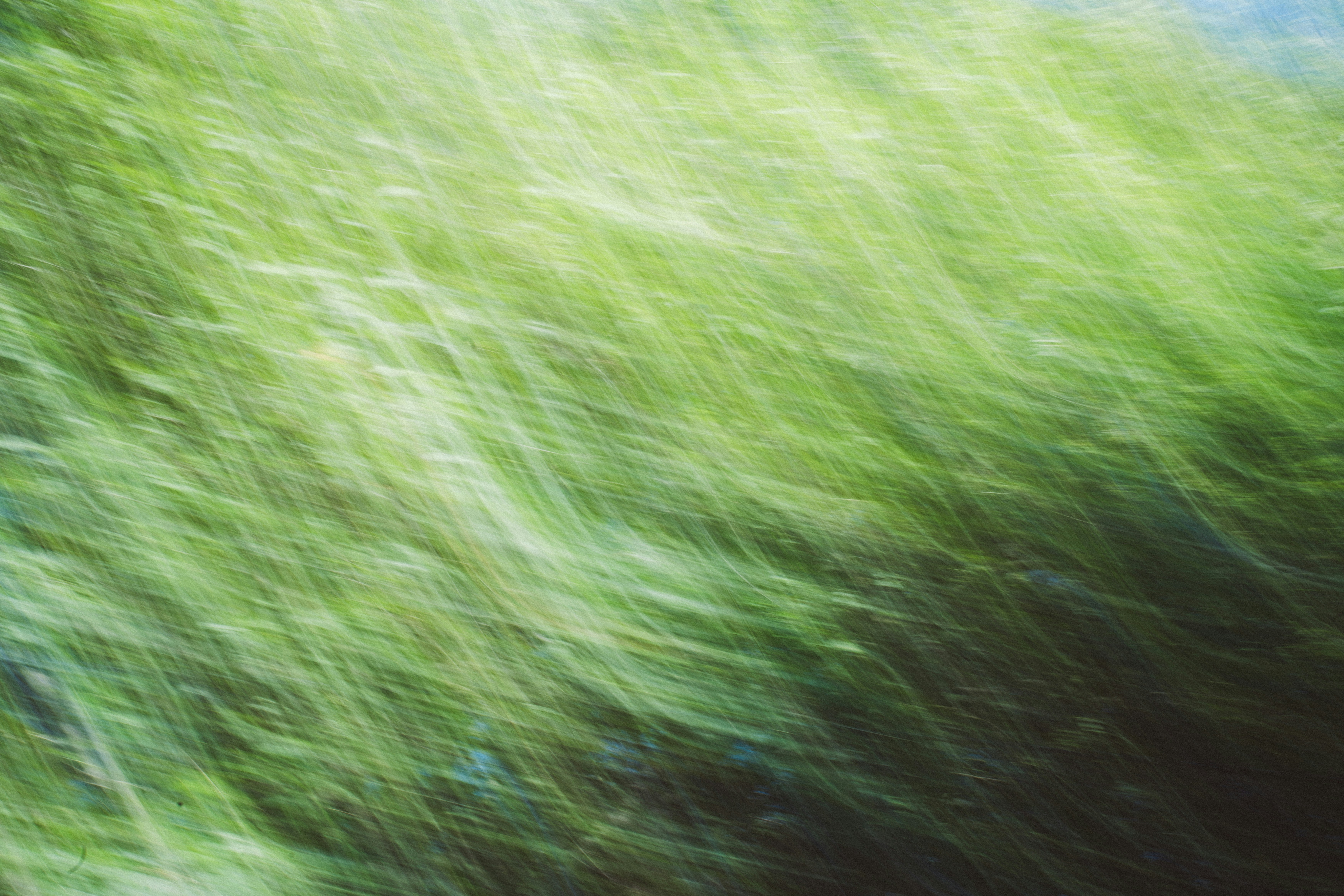 Vibrant green motion blur suggesting a rapid sweep of foliage or grasses in wind; abstract scene emphasizing color and motion rather than a defined subject. This is a dynamic, painterly capture of natural movement.