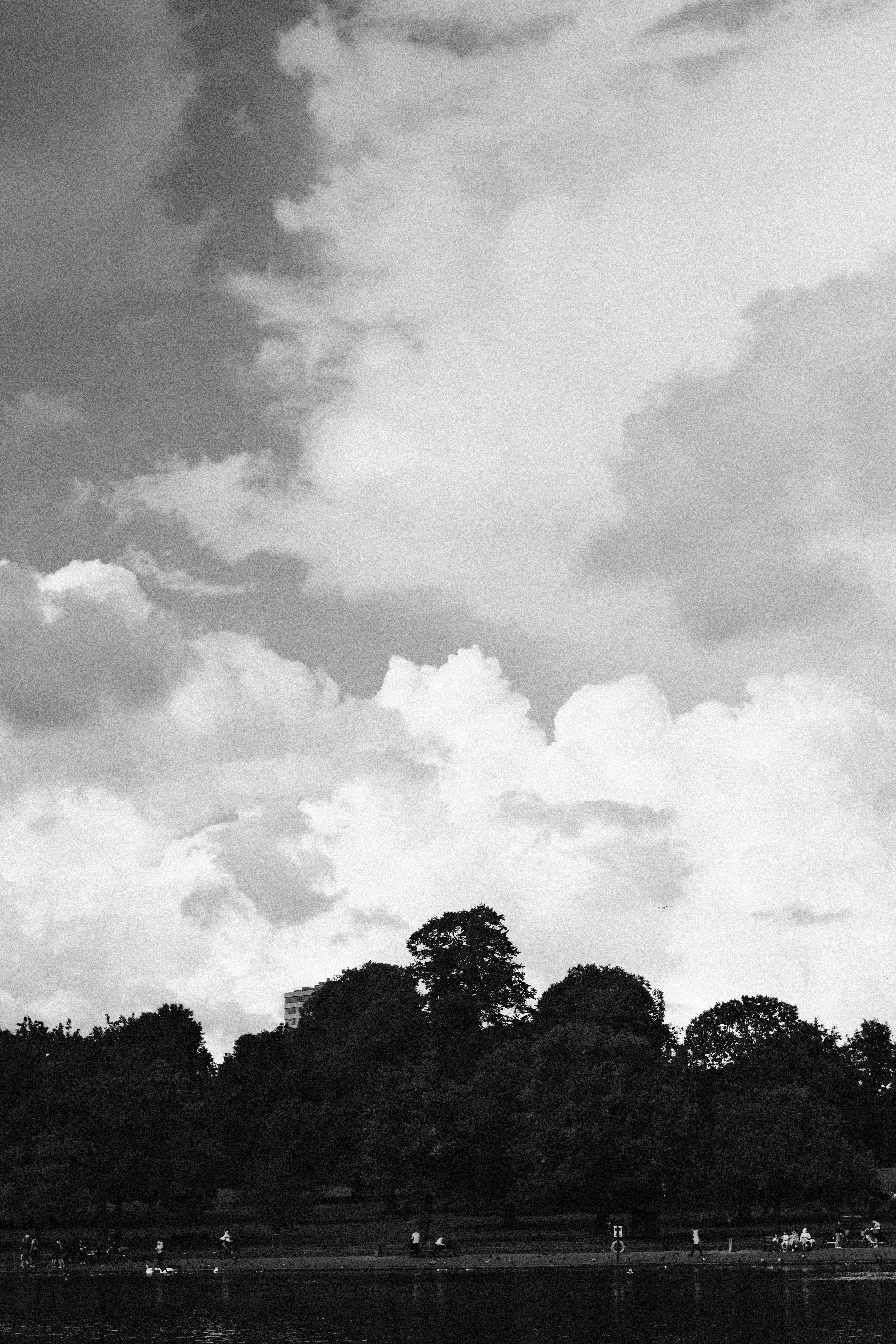 Clouds Over the Park: A Quiet Silhouette at Dusk