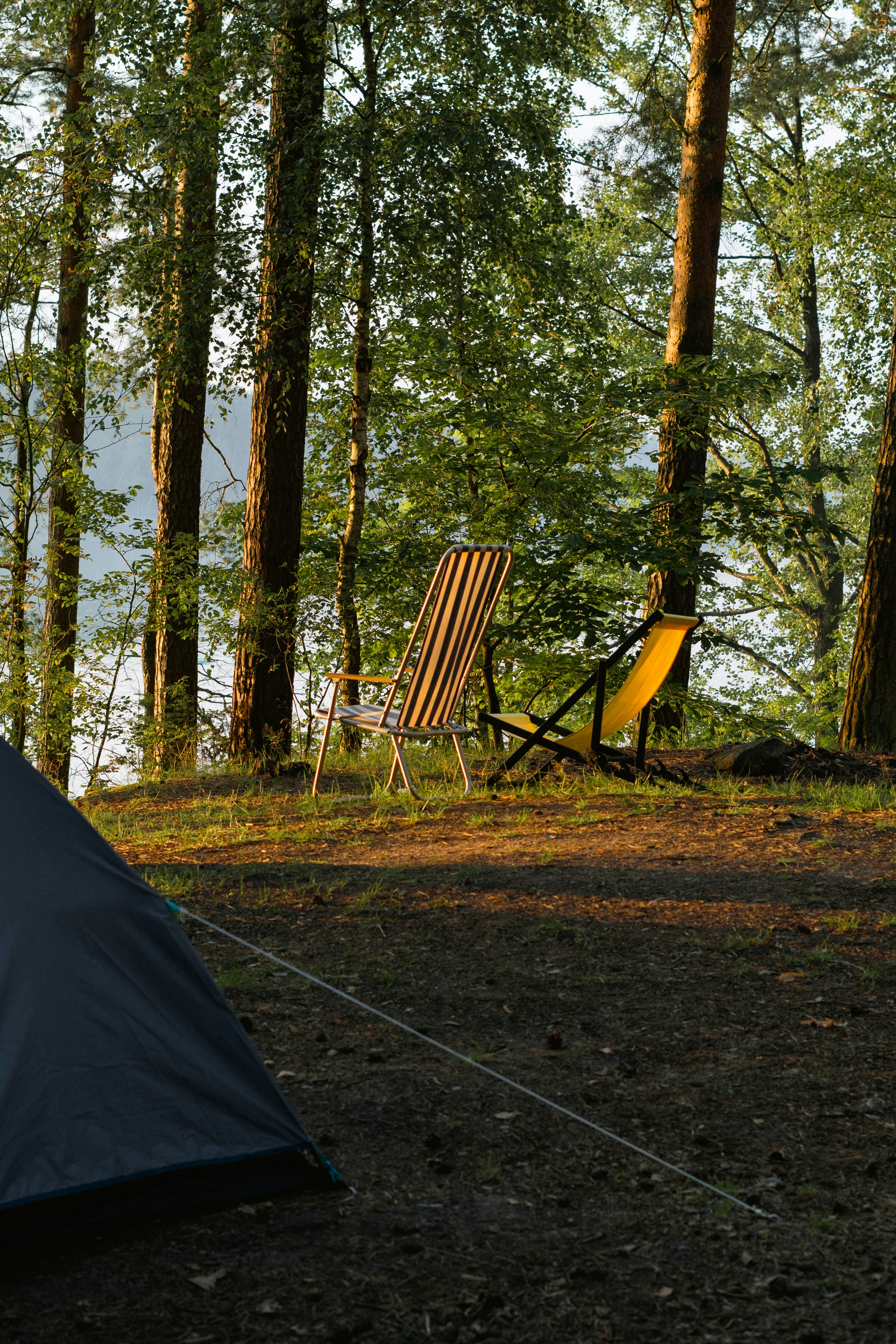 Sunlit campsite with two folding chairs near a tent, under tall pines by a calm lake; warm evening glow emphasizes rustic camping setup.