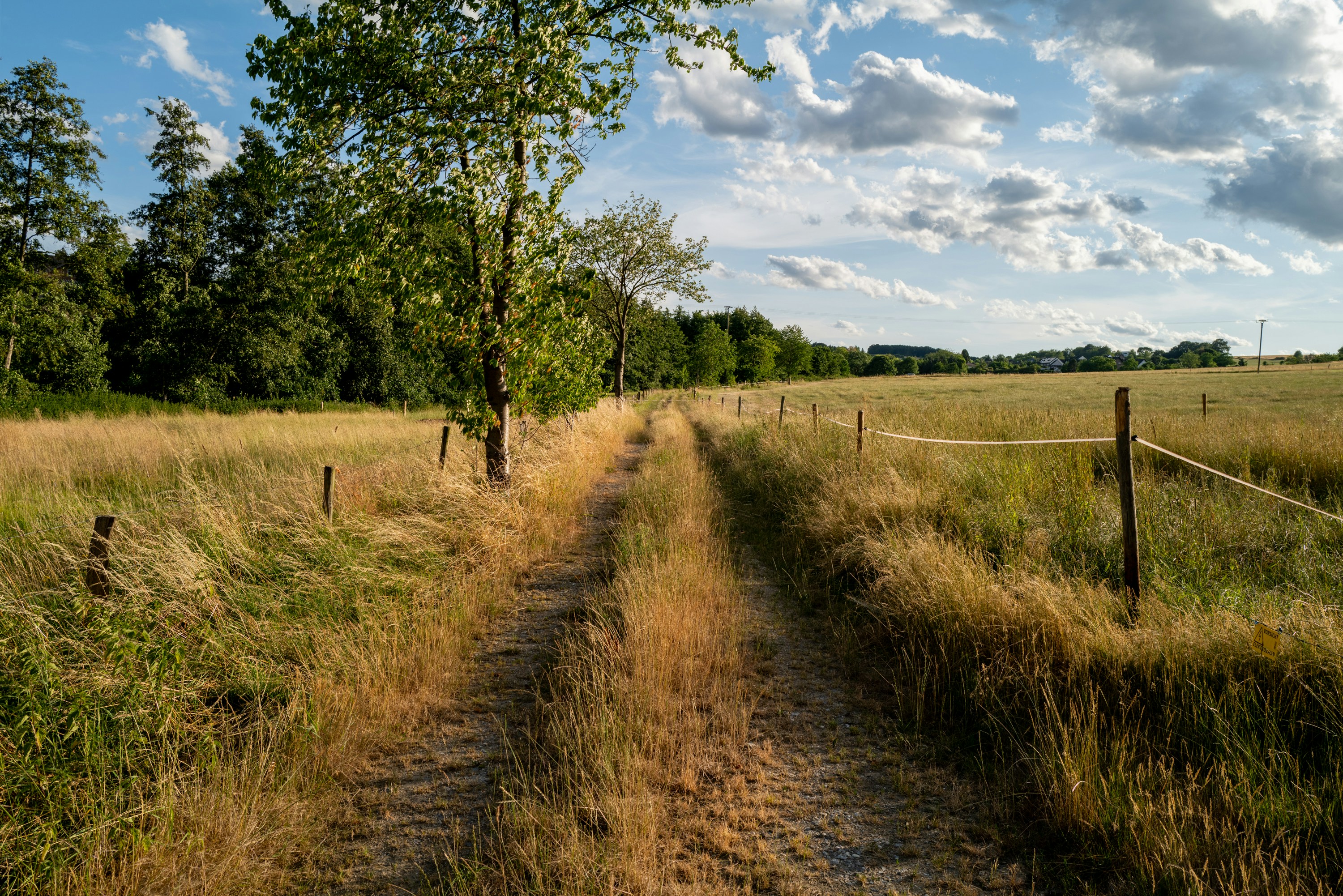 Dusty rural trail under a blue sky with golden grass and a distant fence