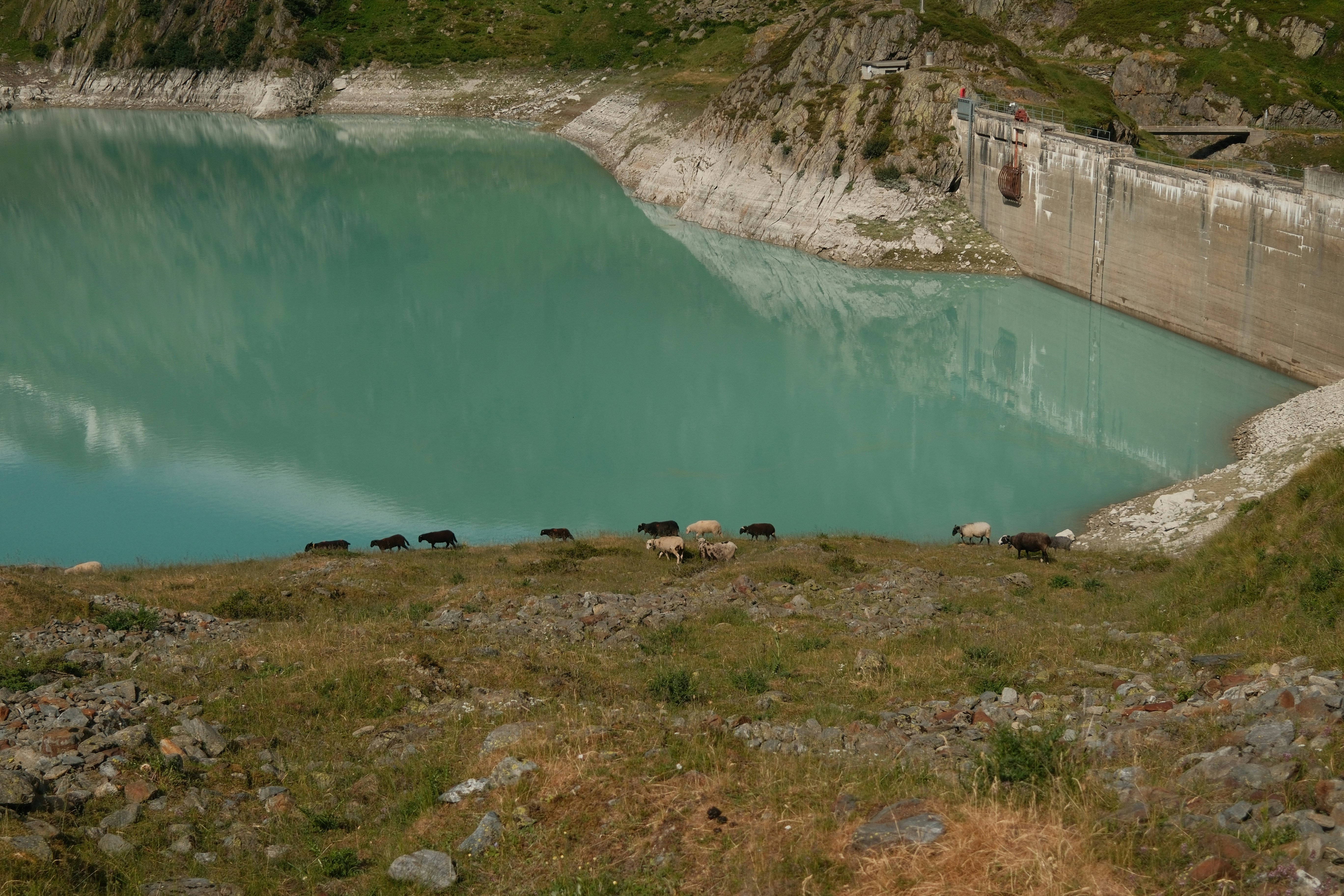 Turquoise Reservoir Under a Gentle Slope