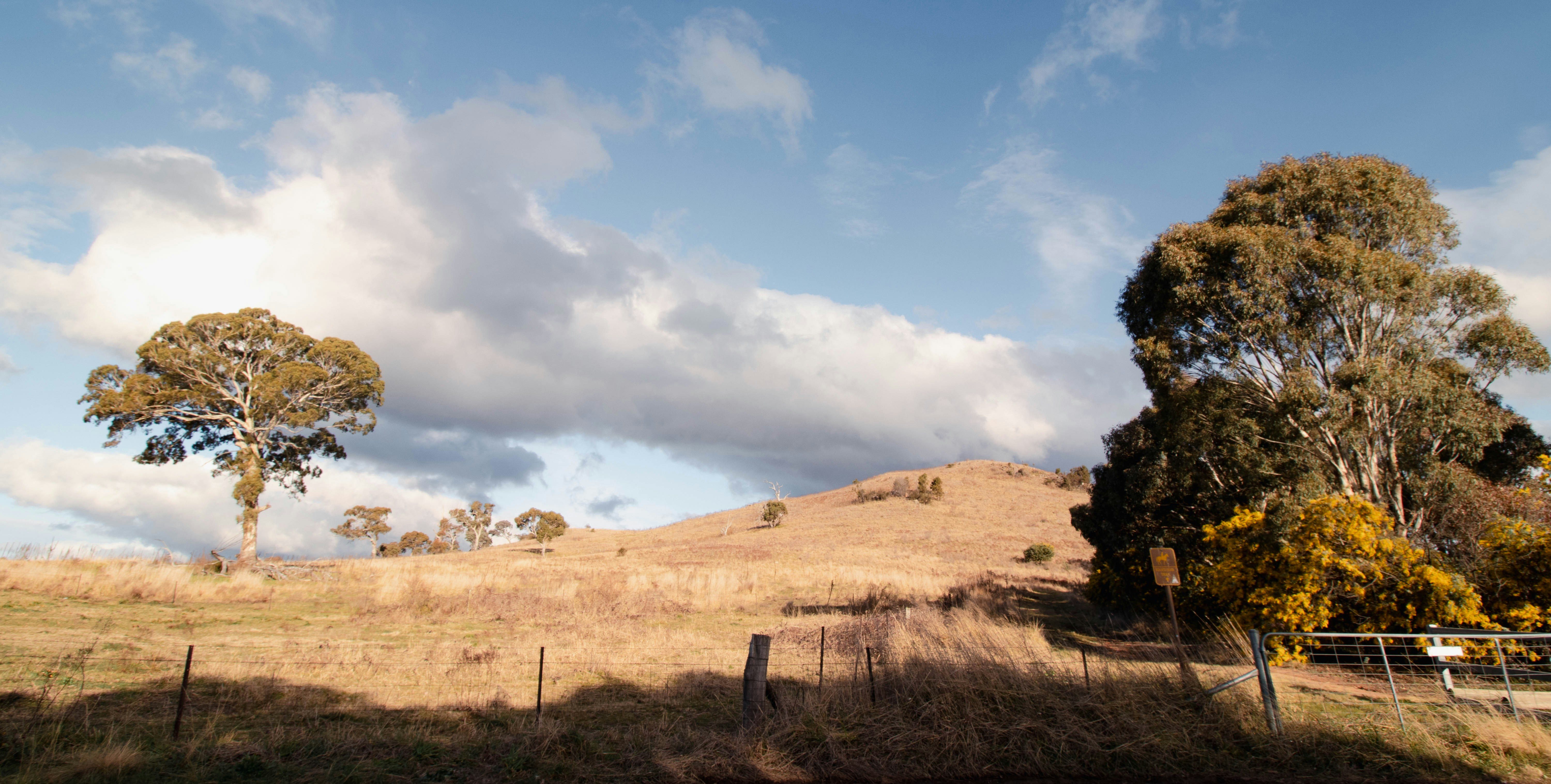 Golden Hilltop Sunrise with Weathered Fence and Lone Tree