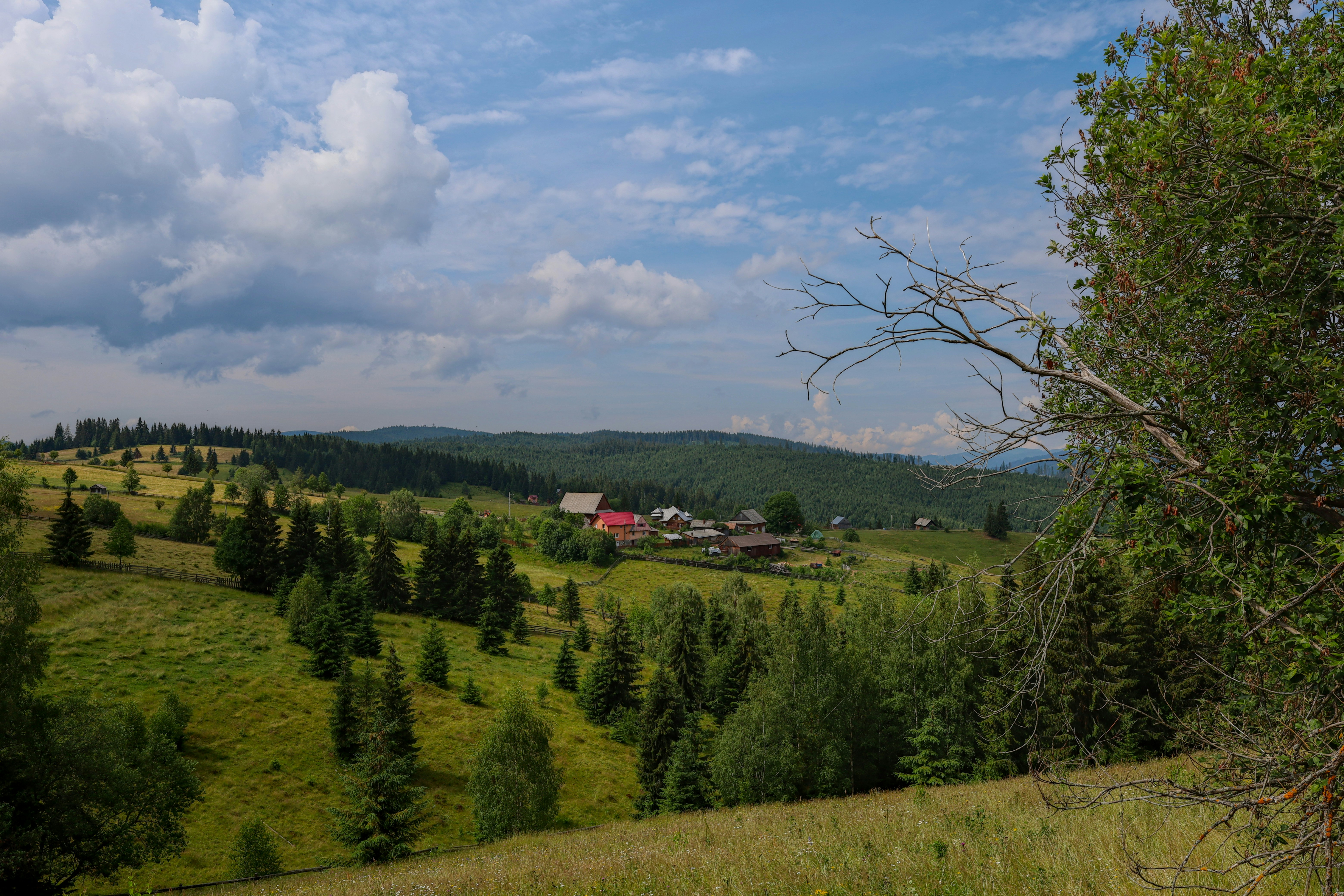 Pastoral Ridge: A Quiet Valley Beneath Broad Skies
